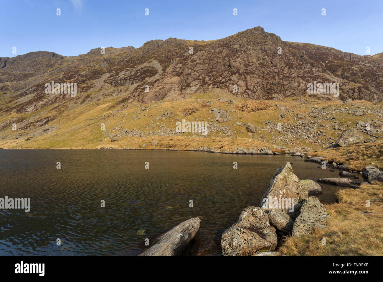 The shoreline of Llyn Cau, Cadair Idris Stock Photo - Alamy