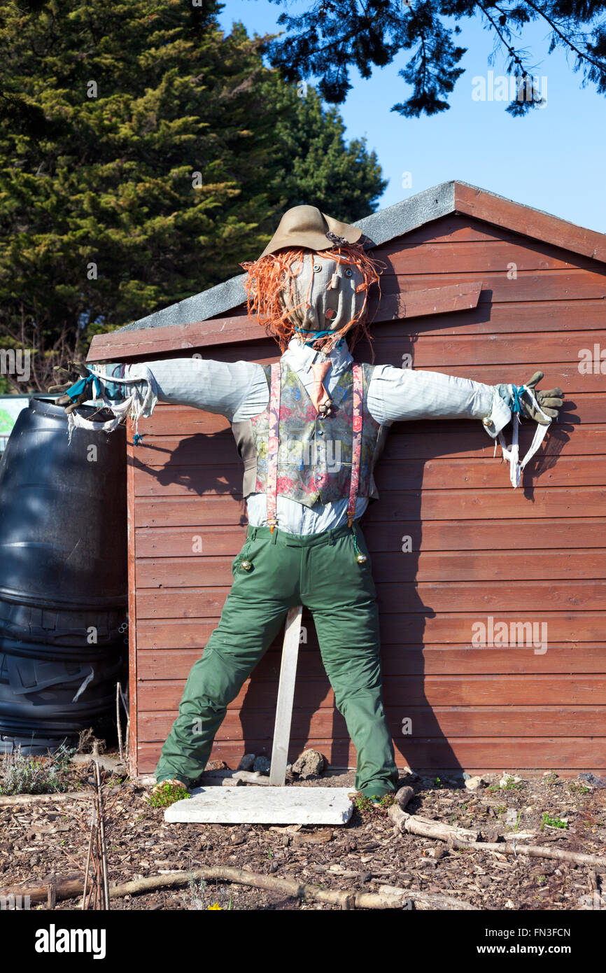 Funny scarecrow in an allotment Stock Photo - Alamy