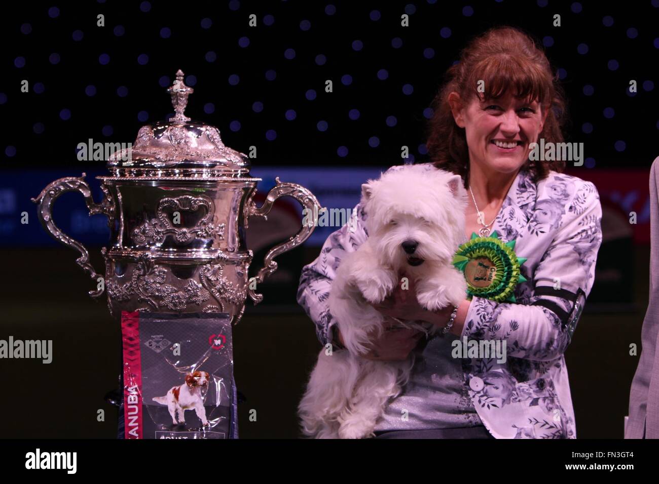 Birmingham nec 2016 hi-res stock photography and images - Alamy