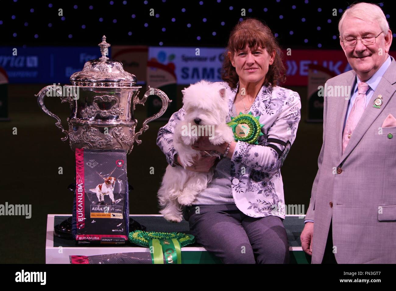 Birmingham, UK. 13th March, 2016. NEC Birmingham. Ch Burneze Geordie ...