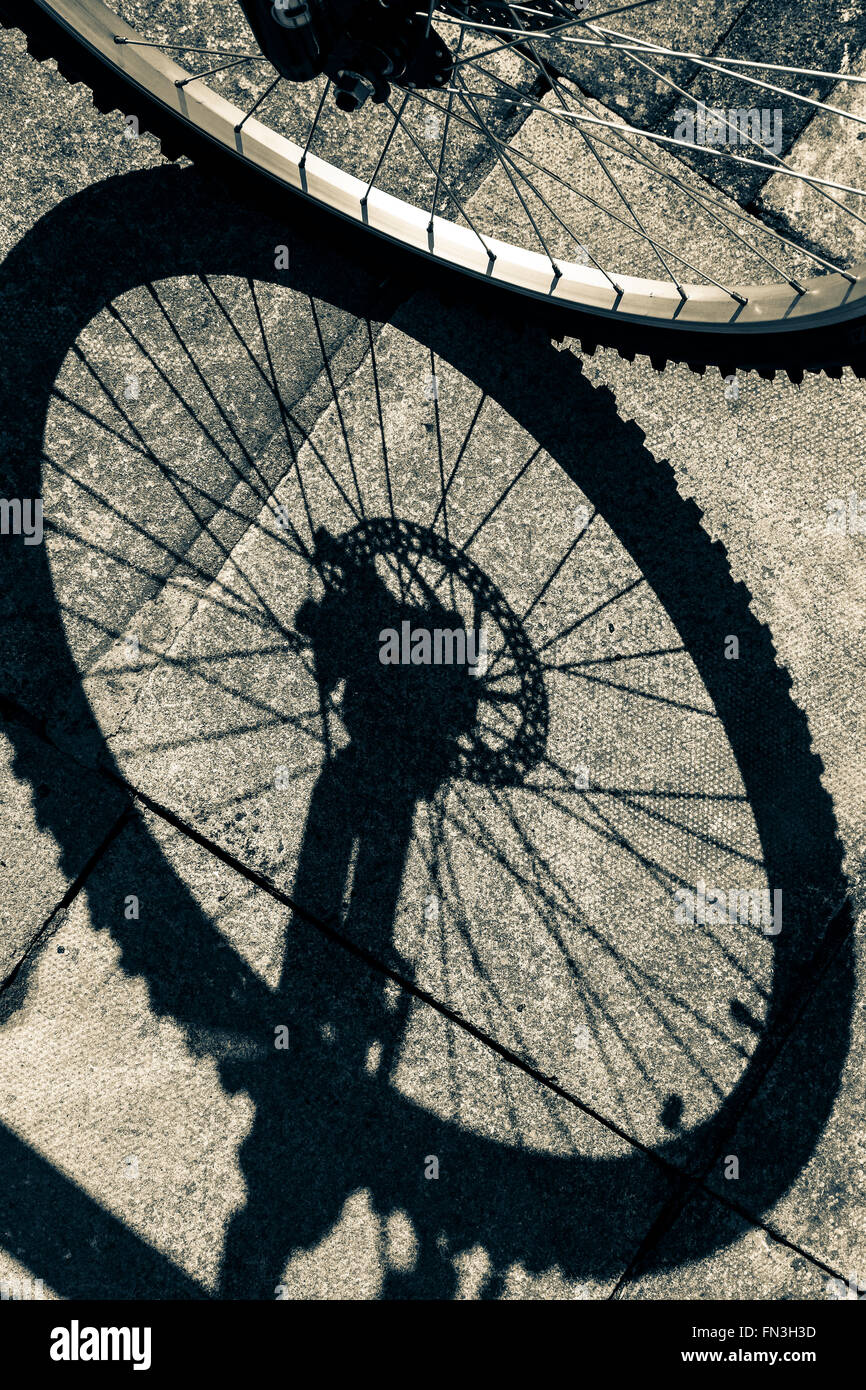Shadow of a bicycle wheel on a pavement Stock Photo - Alamy