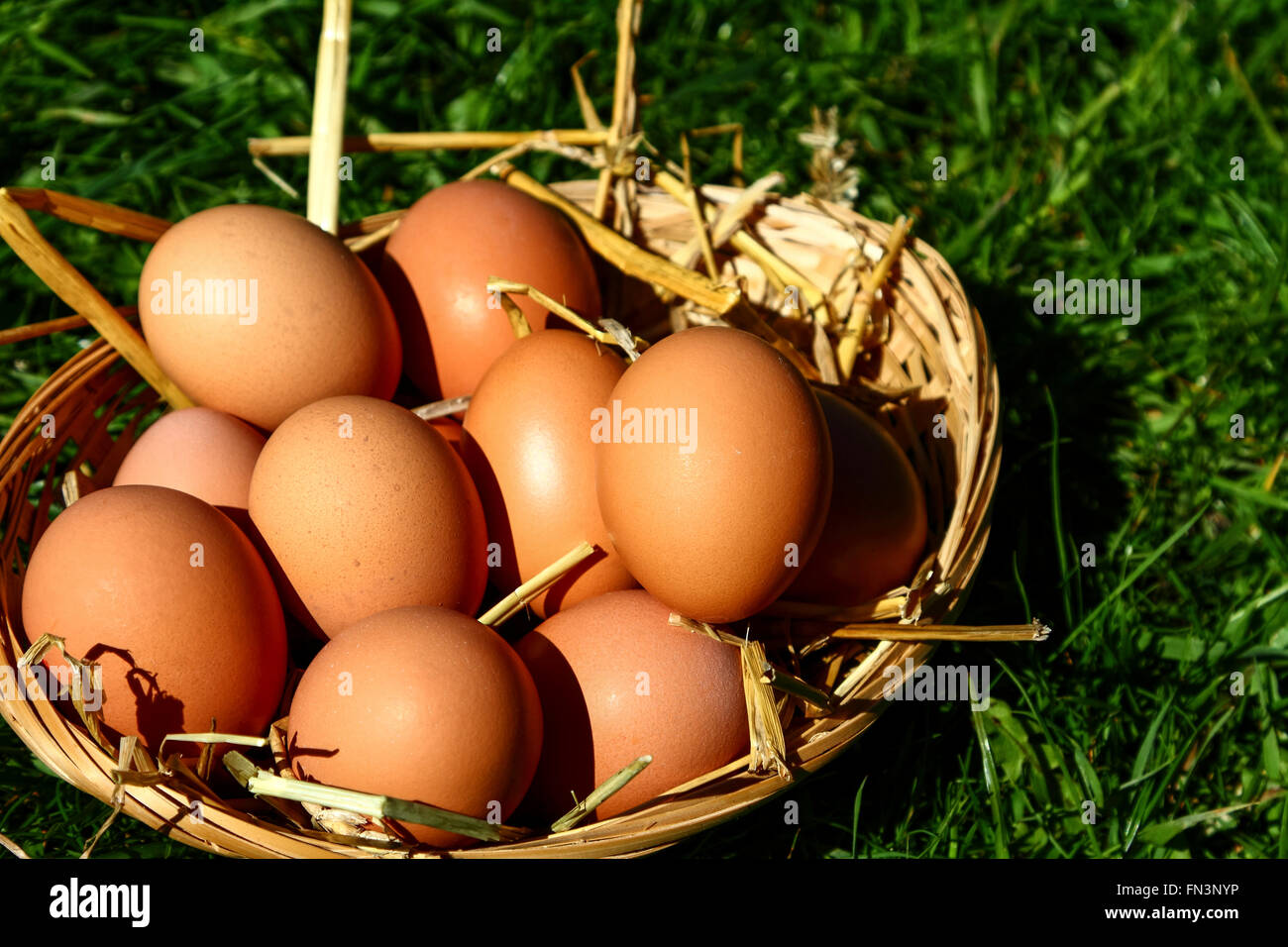 Free range eggs Stock Photo - Alamy