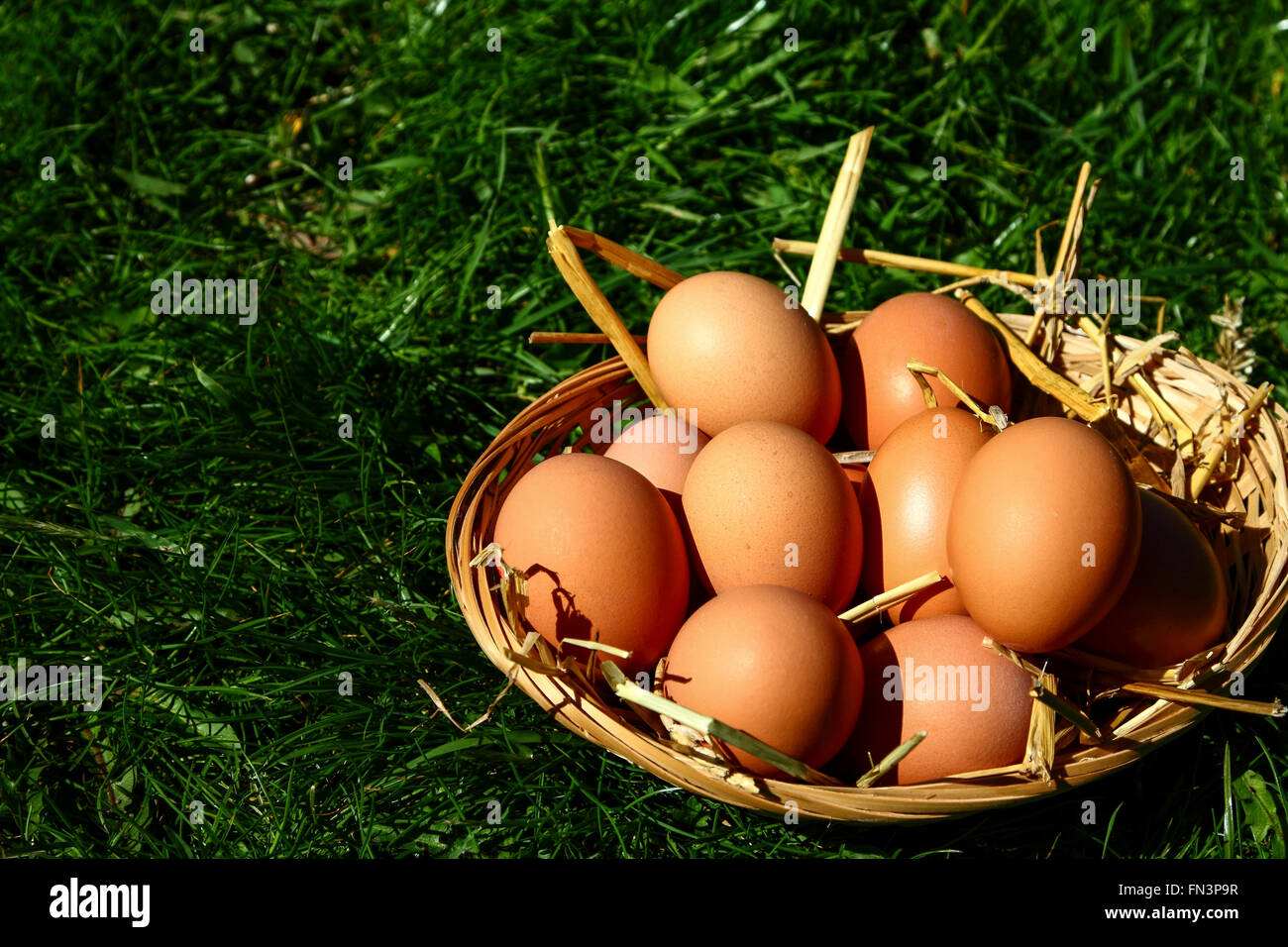 Free range eggs Stock Photo - Alamy