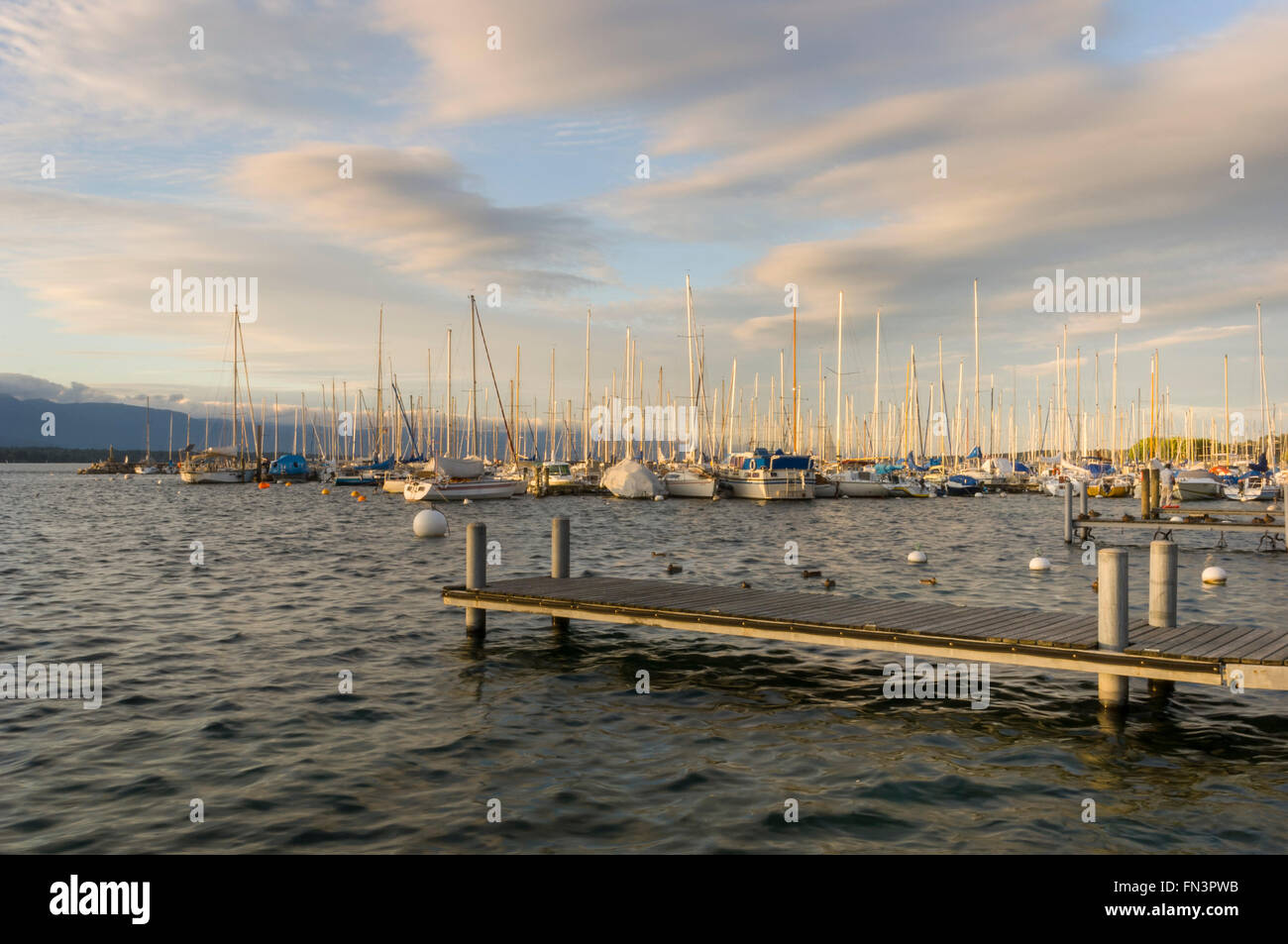 Sunset Geneva harbour, Lake Geneva, Switzerland, Europe Stock Photo - Alamy
