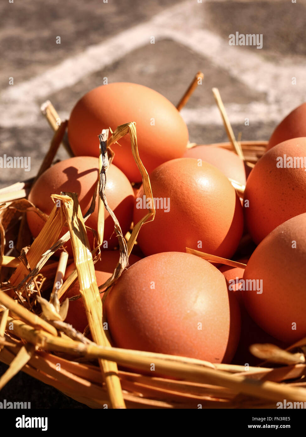 Free range eggs Stock Photo - Alamy