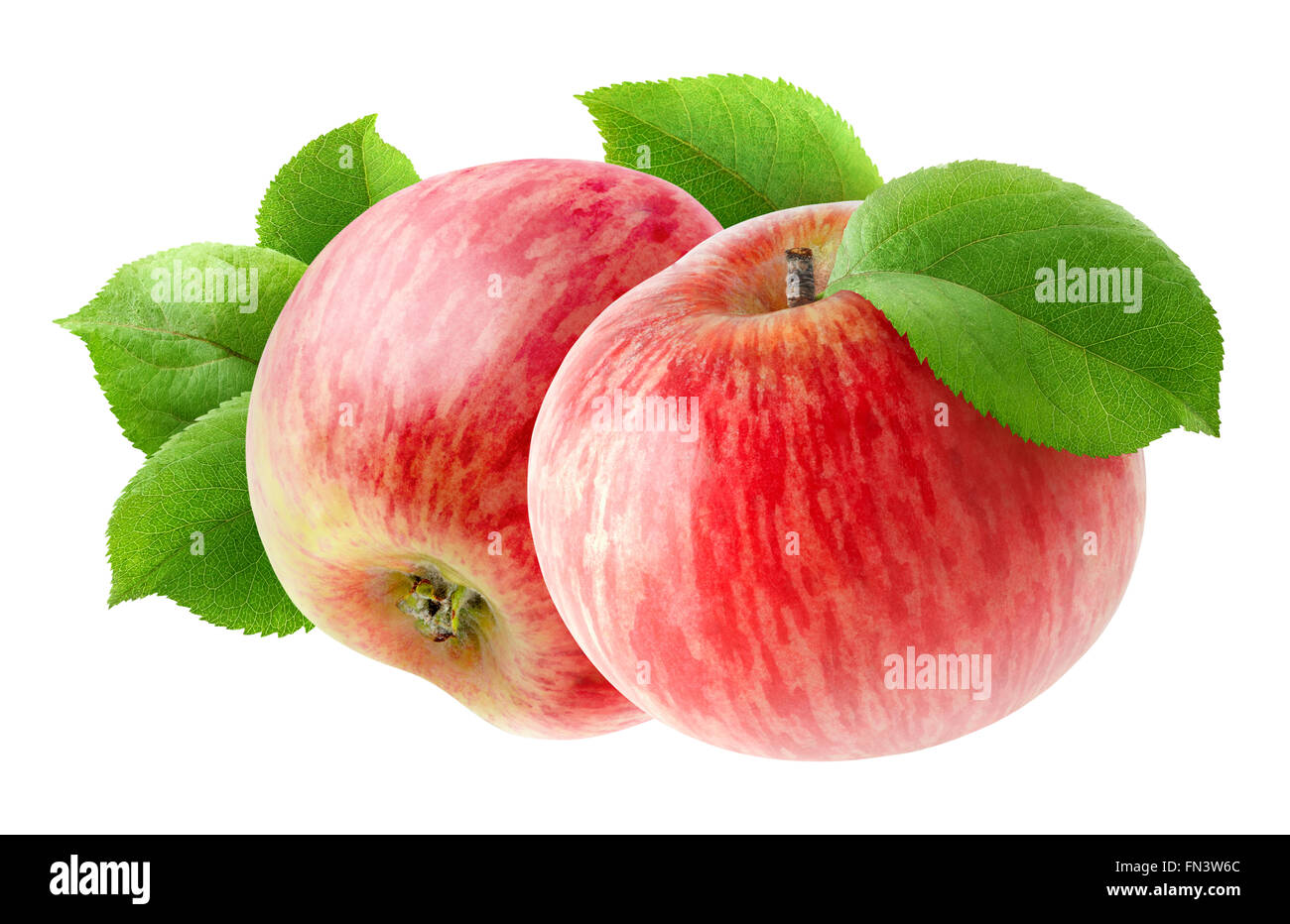 Two red apples isolated on white with clipping path Stock Photo - Alamy