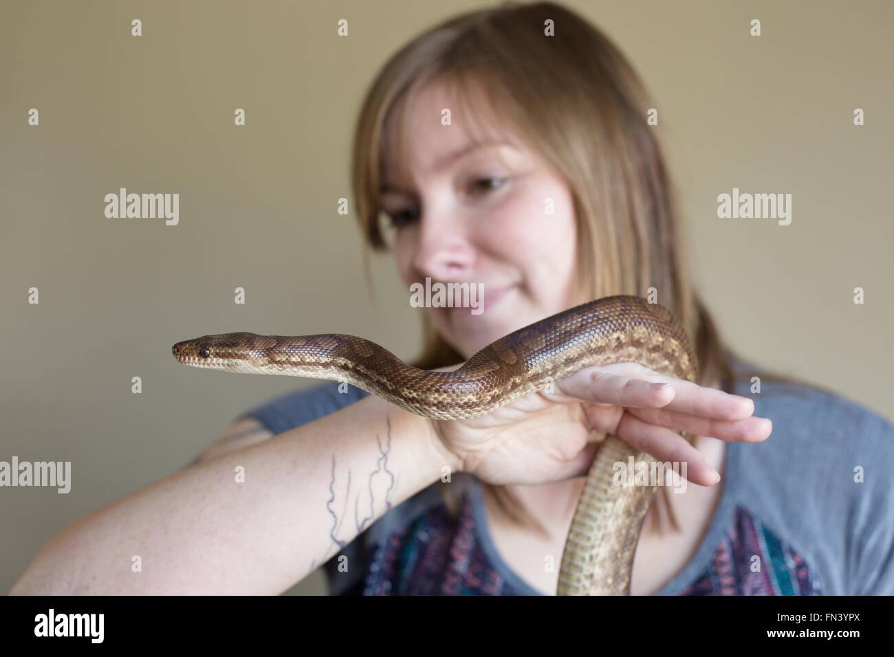 Handling A Snake High Resolution Stock Photography and Images - Alamy