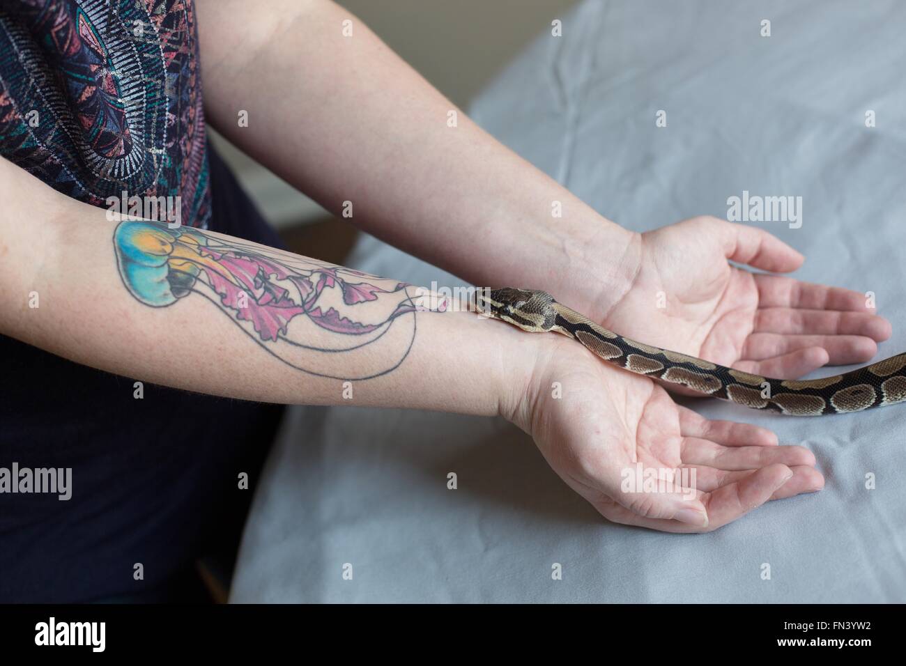 Crawling Exotic High Resolution Stock Photography and Images - Alamy