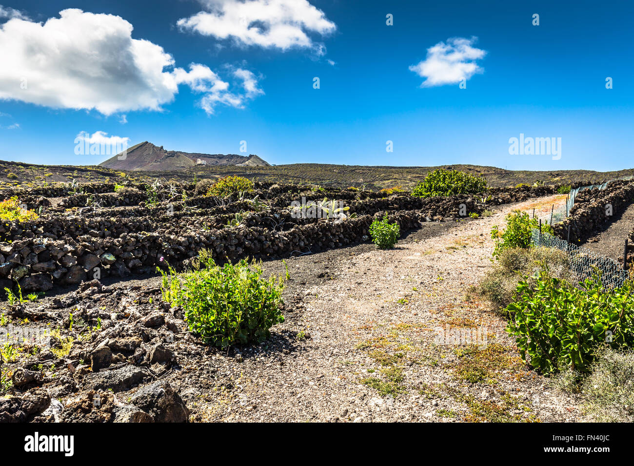 Field in rural area hi-res stock photography and images - Alamy