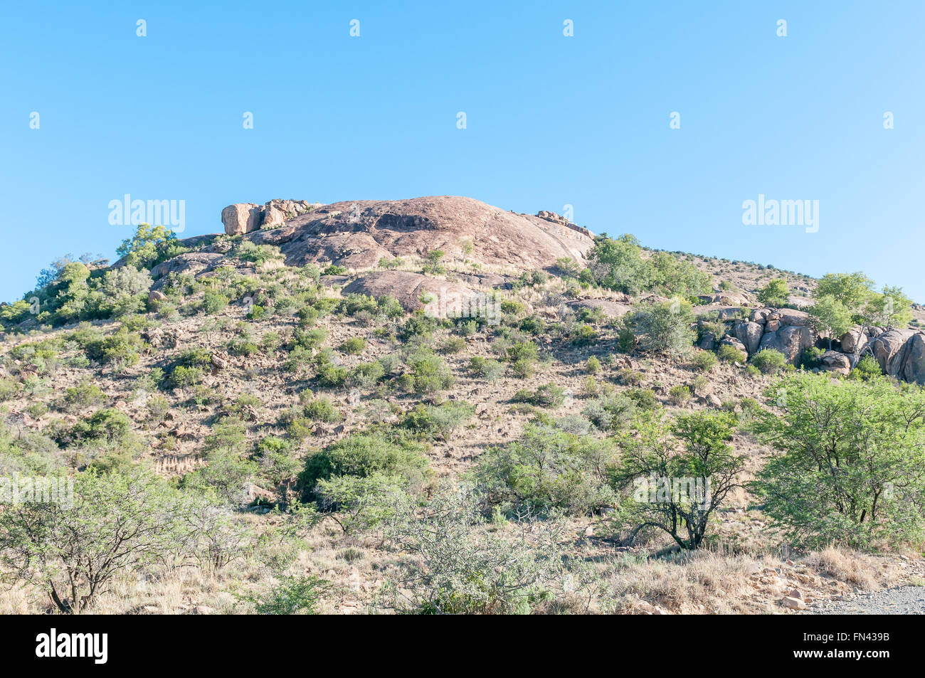 Typical karoo landscape hi-res stock photography and images - Alamy