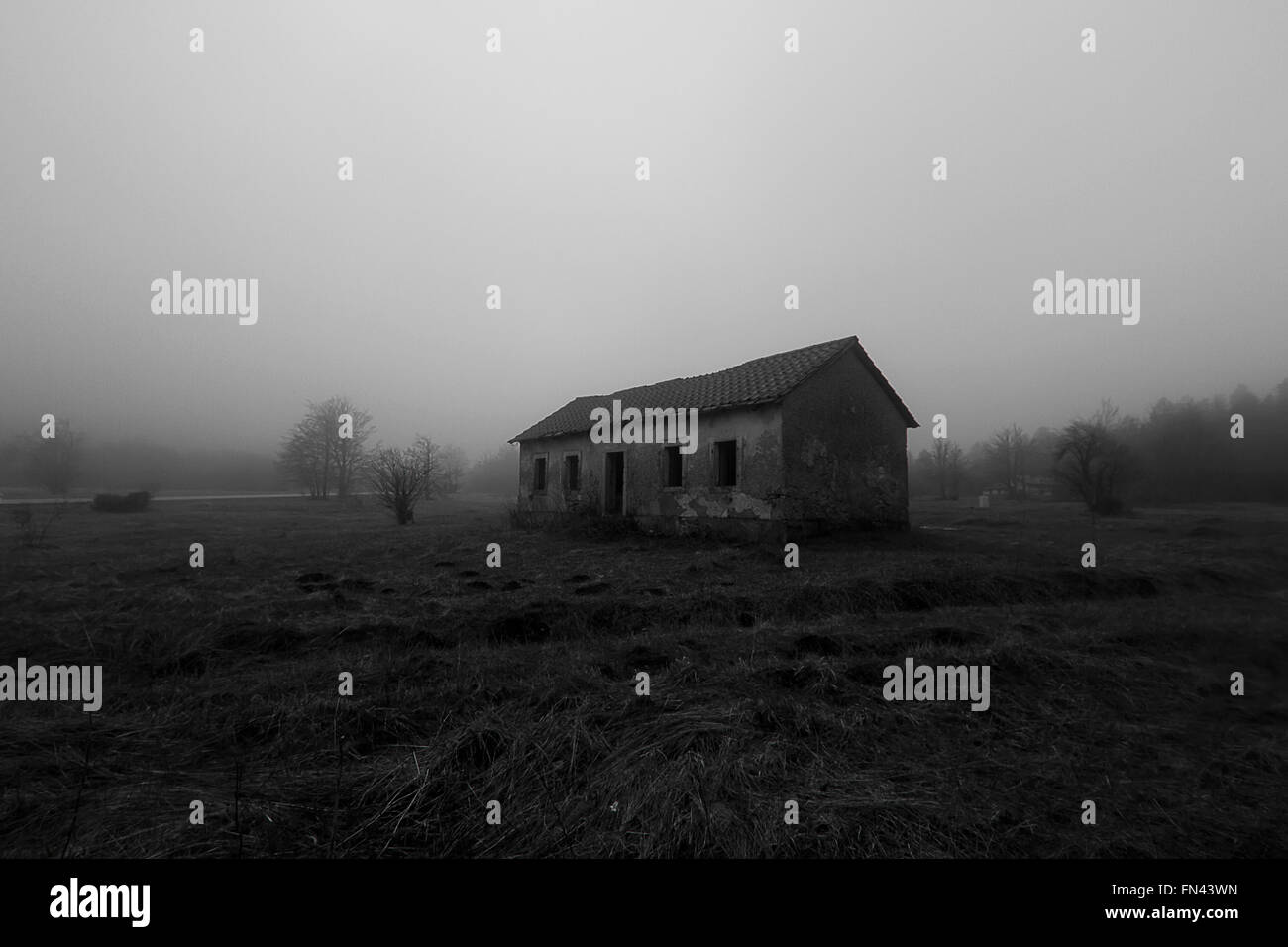 Haunted wallpaper Black and White Stock Photos & Images - Alamy