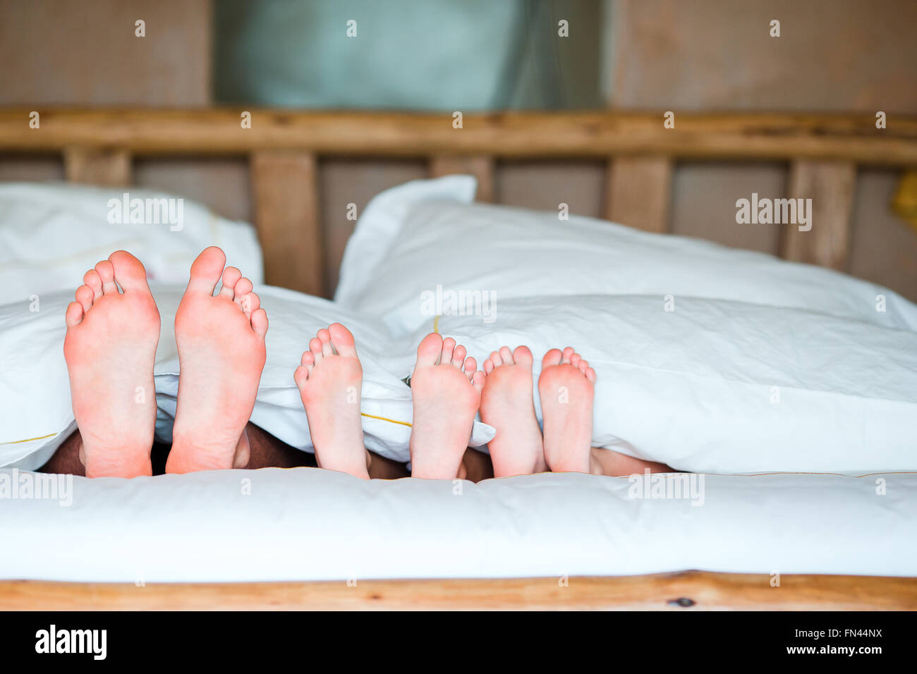 Feet of family in bed Stock Photo - Alamy