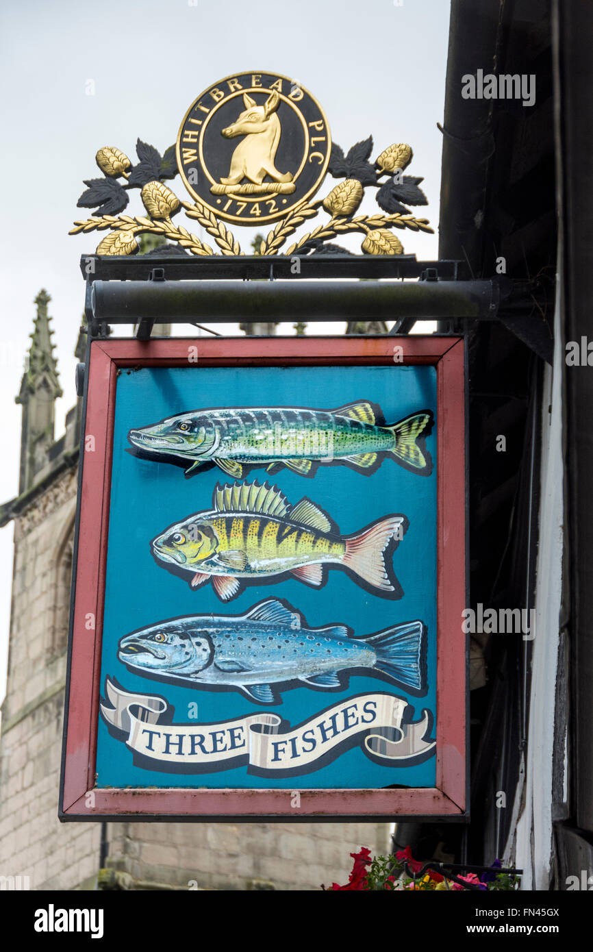 Three fishes hi-res stock photography and images - Alamy
