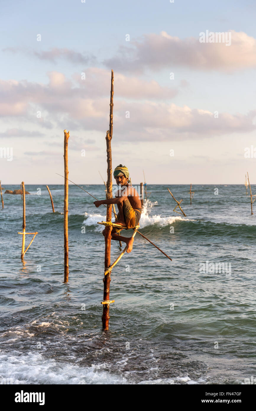 Sri Lankan stilt fishing, Sri Lankan stilt fishermen at sunset, Koggala ...