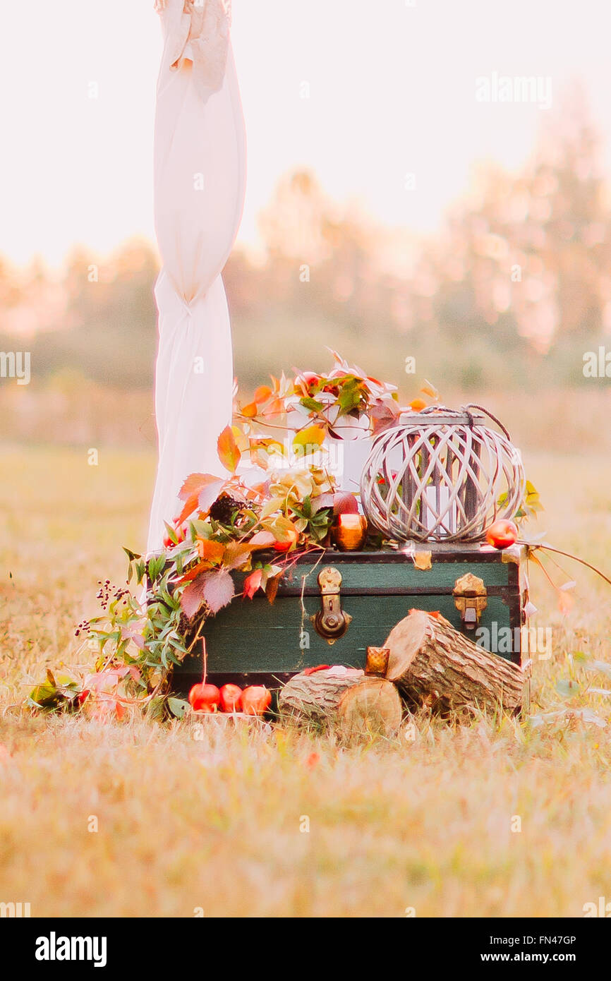 Wedding decorations in the yellow autumn field Stock Photo - Alamy