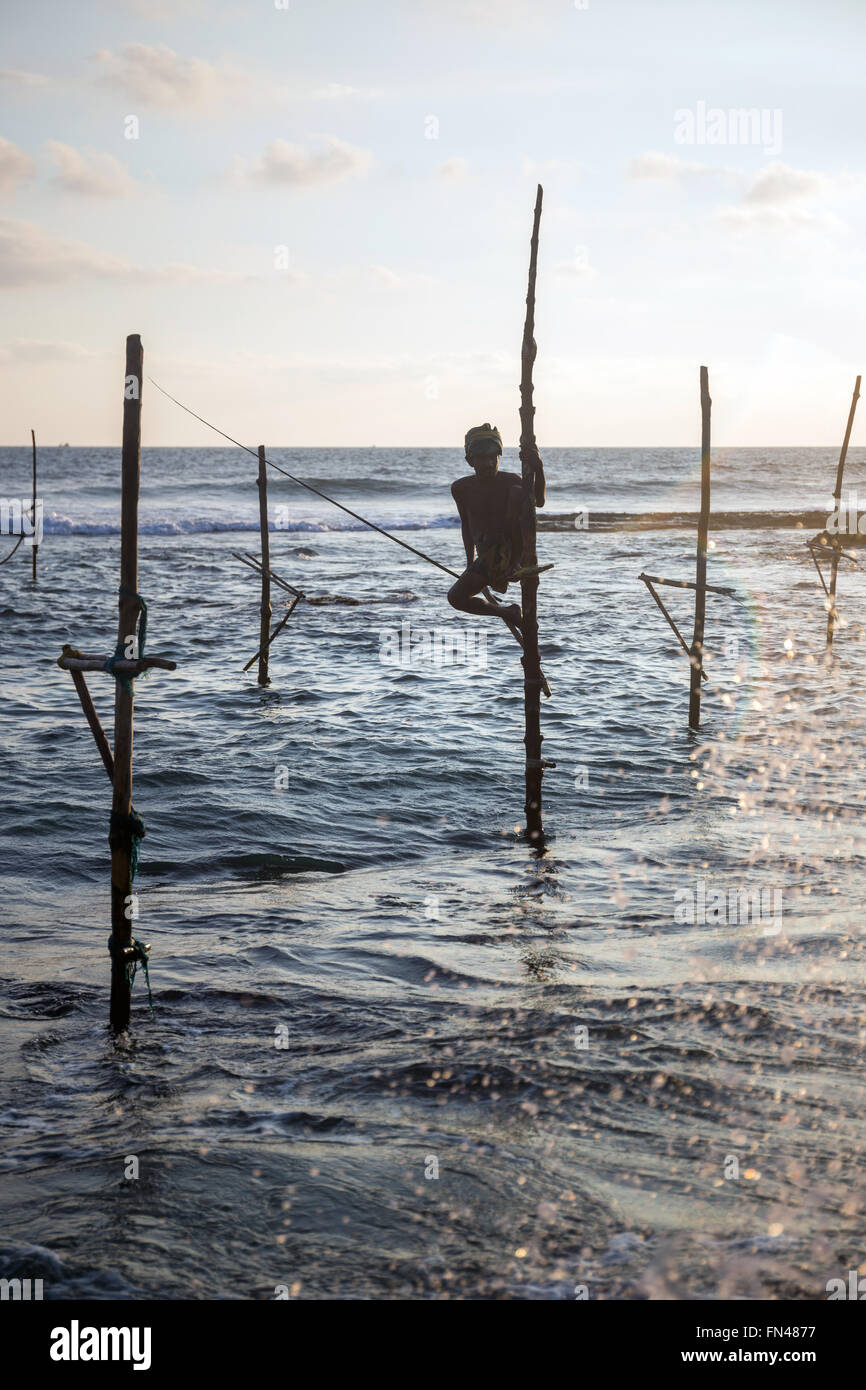 Sri Lankan stilt fishing, Sri Lankan stilt fishermen at sunset, Koggala ...