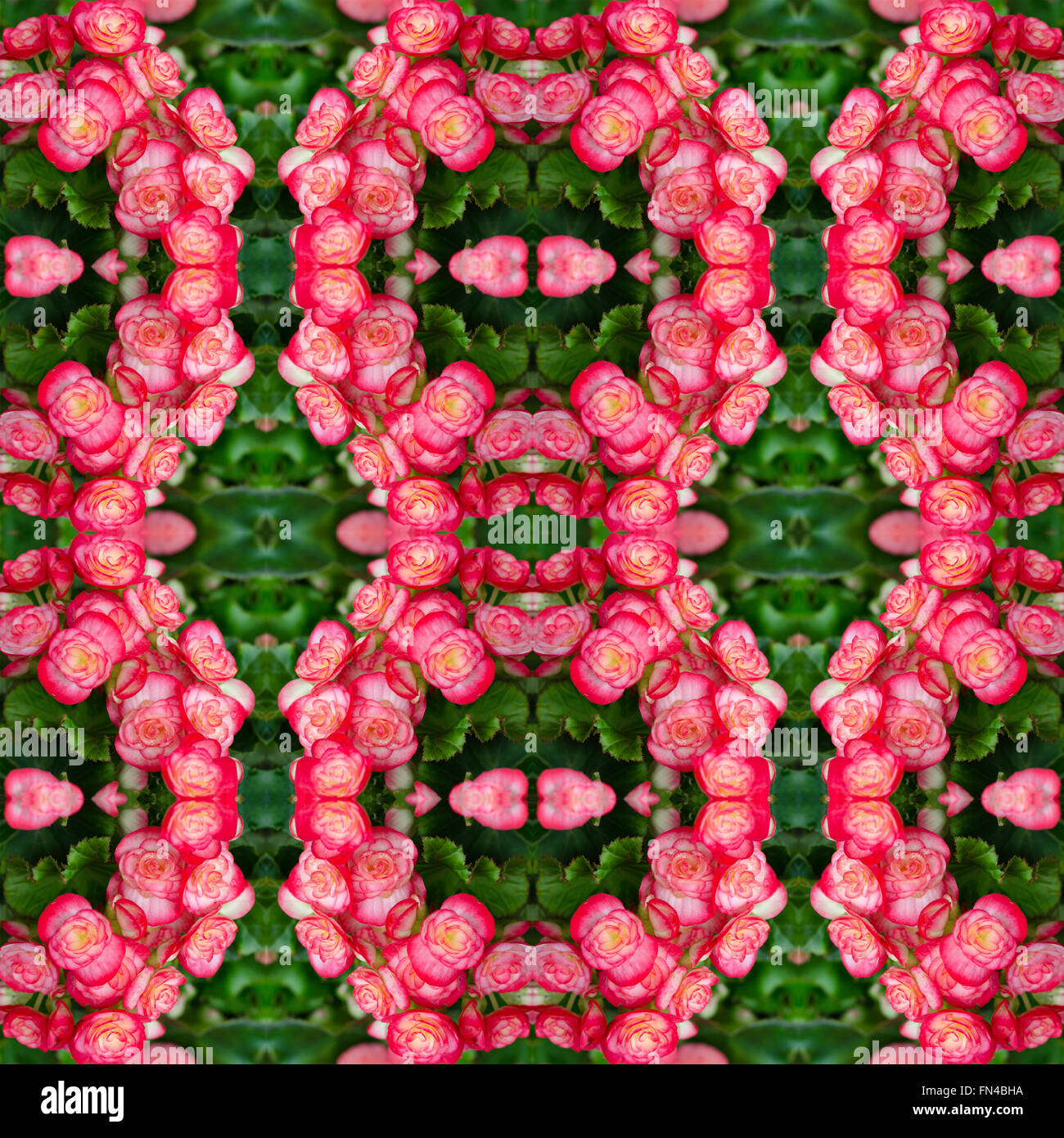 begonia flower seamless pattern background Stock Photo - Alamy
