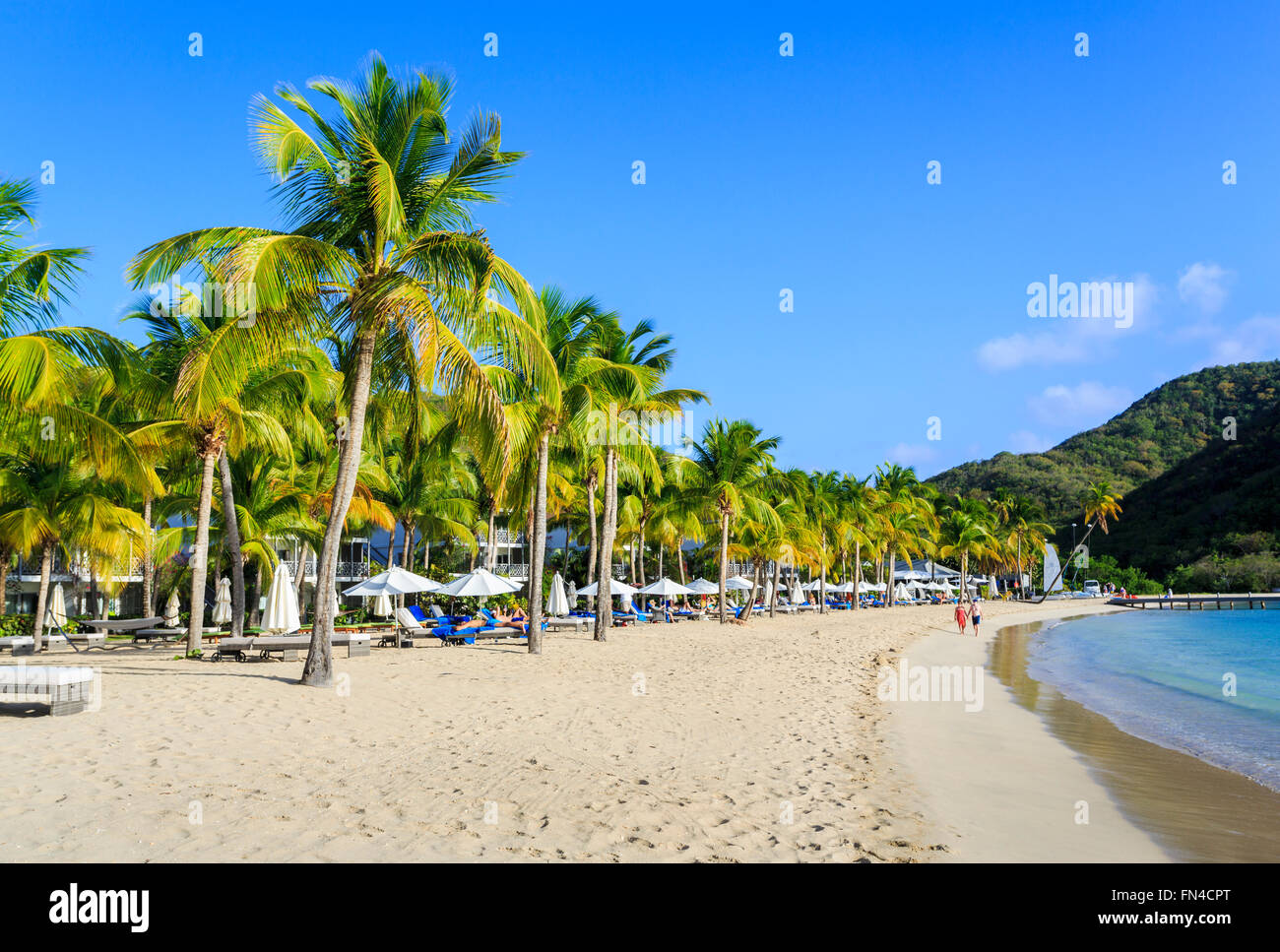 Sunny golden sandy beach and azure sea at Carlisle Bay, south-west ...