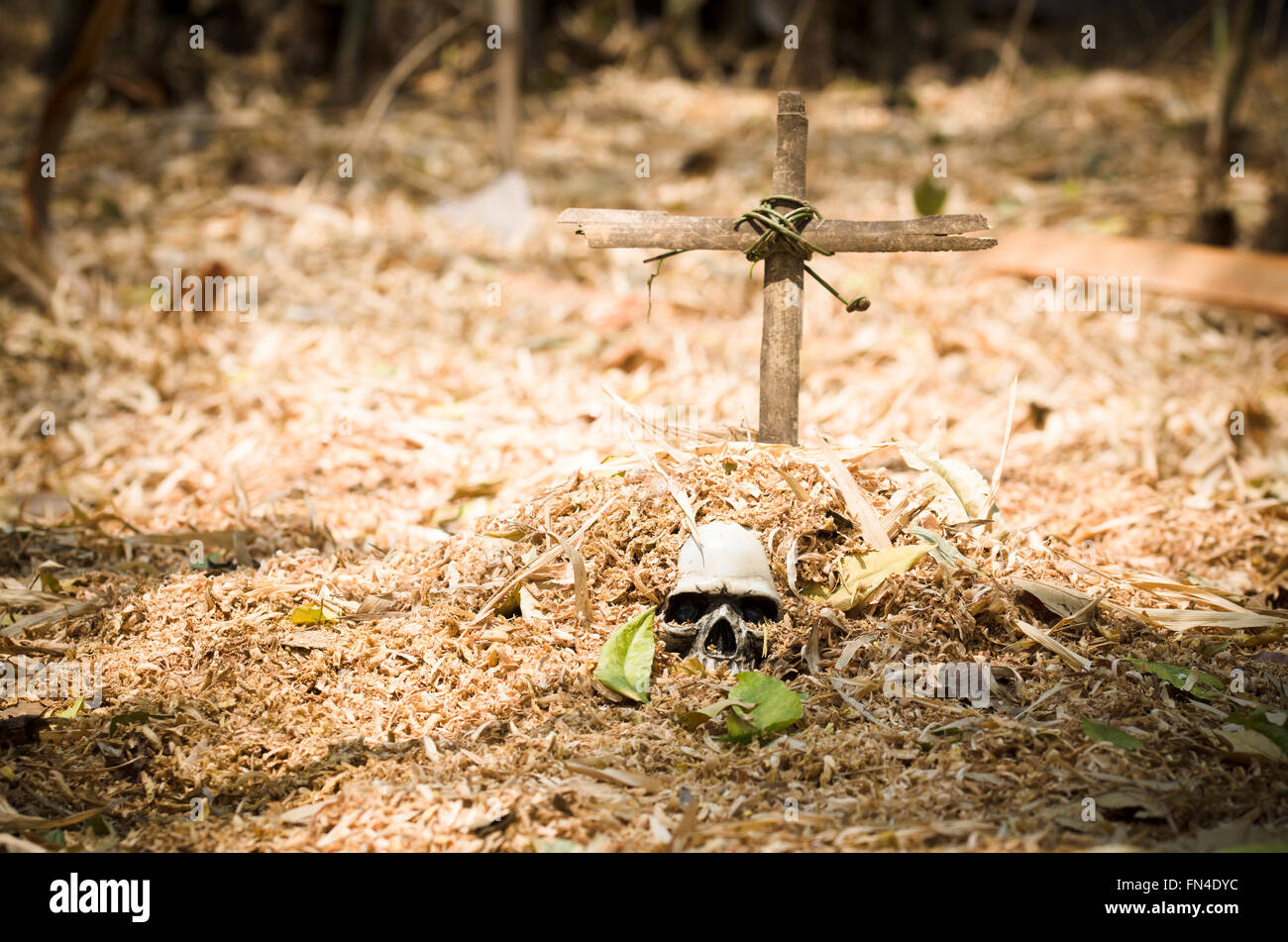 human skulls die and graved underground ideal for halloween and other ...