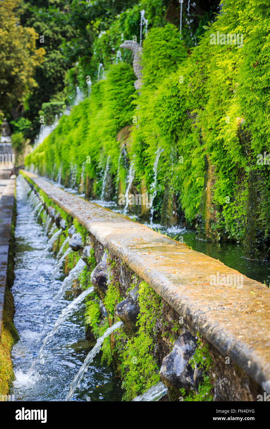 The Hundred Fountains (Le Cento Fontane) in the formal gardens, Villa d ...