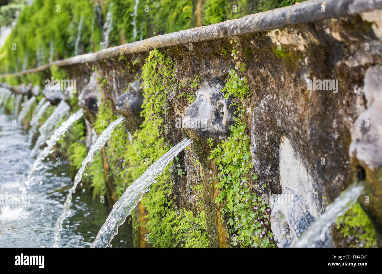 The Hundred Fountains (Le Cento Fontane) in the formal gardens, Villa d ...