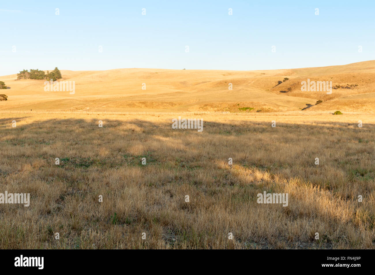 Rising sun hits rolling hills and forms long foreground shadows before ...