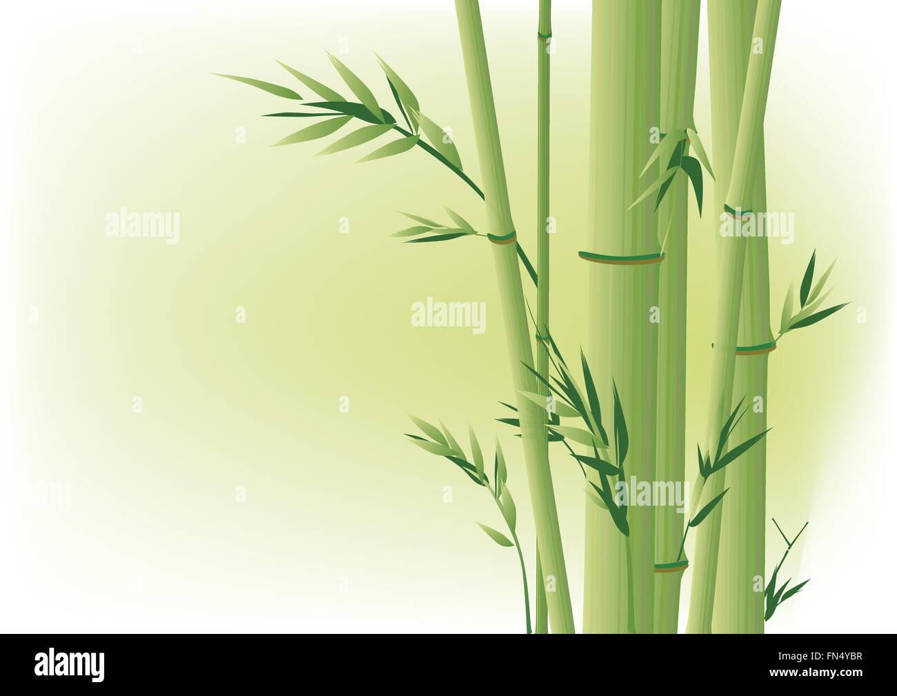 Red Chinese bamboo hand drawing Stock Vector Image & Art - Alamy
