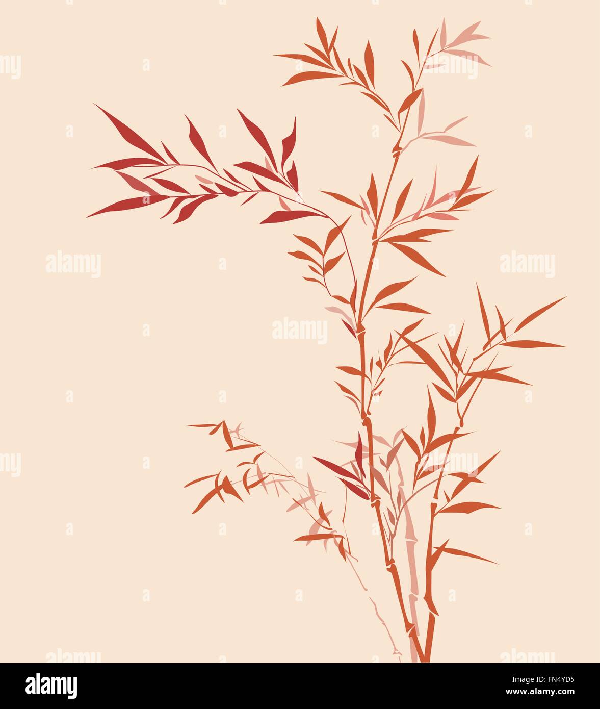 Chinese lucky bamboo Stock Vector Images - Alamy