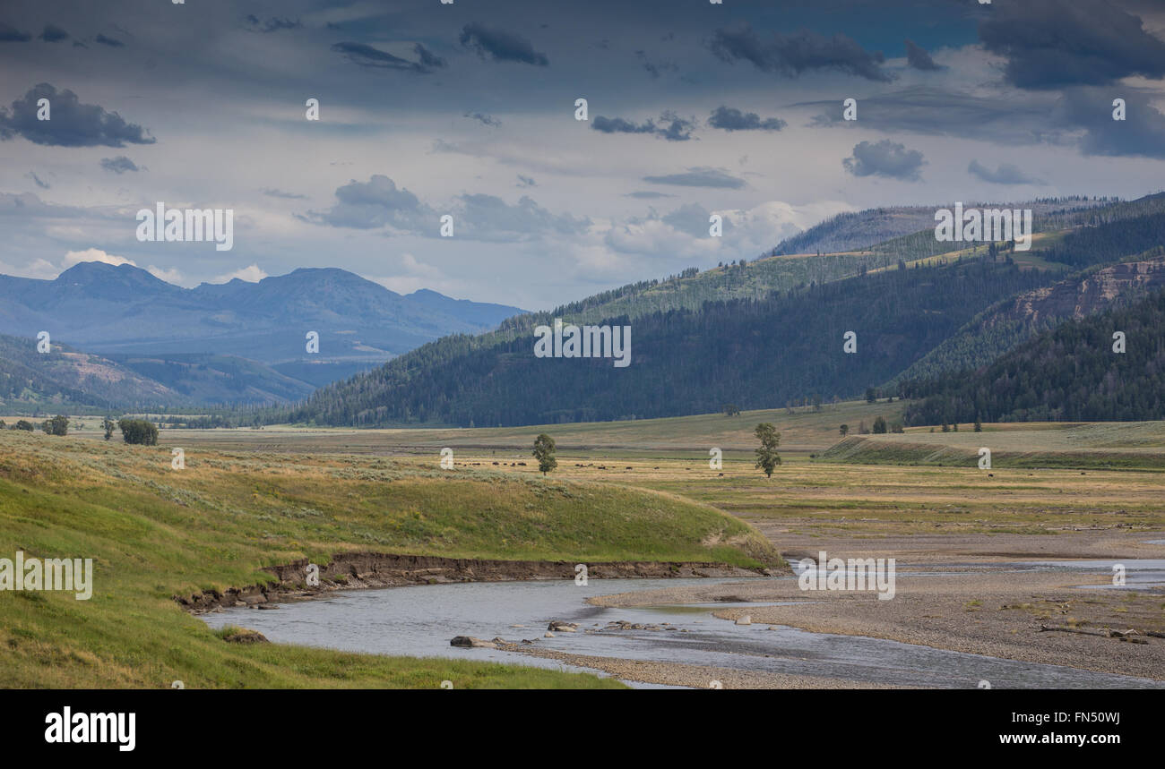 Yellowstone's Lamar Valley Stock Photo - Alamy