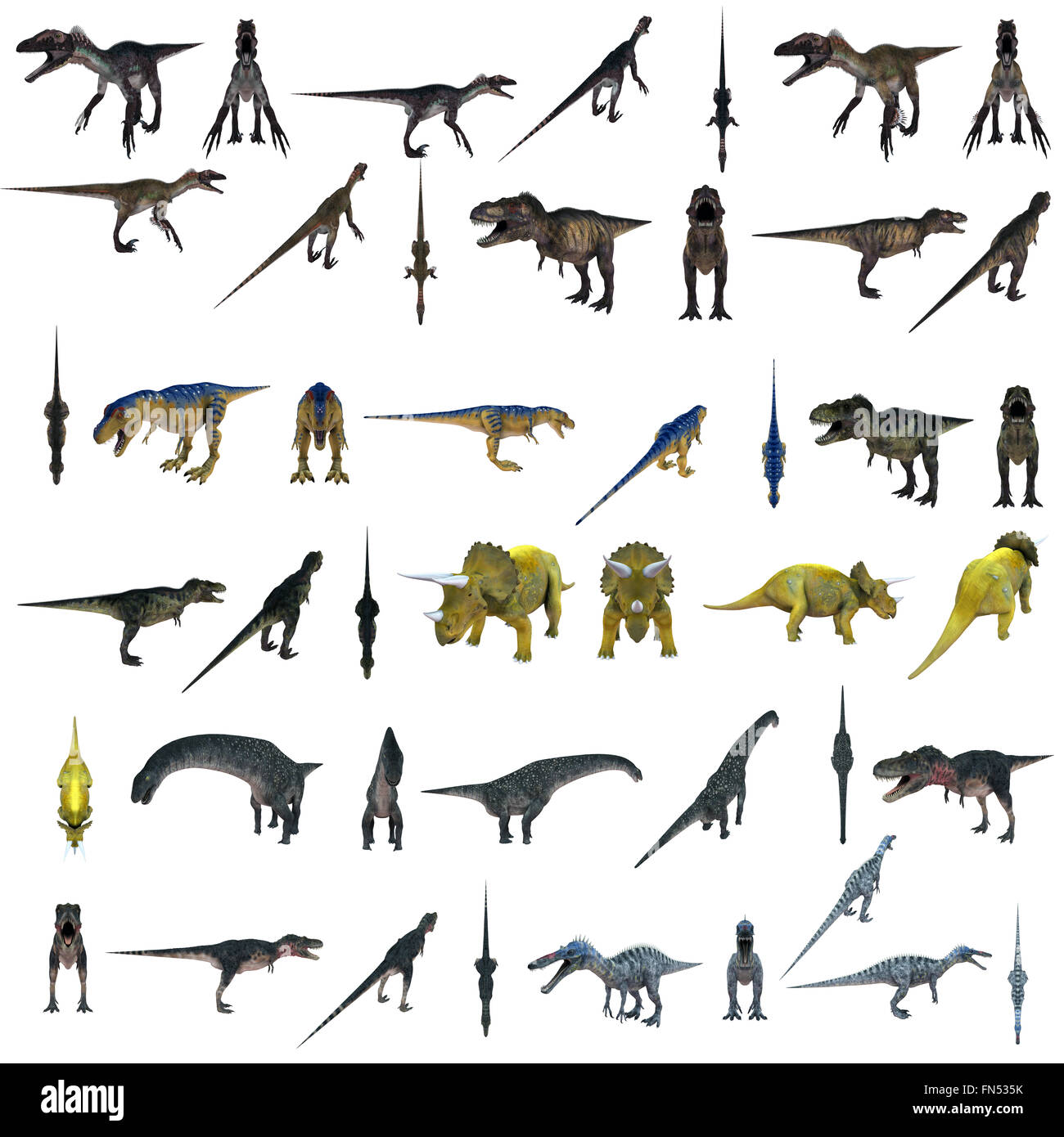 Dinosaur skin fossil hi-res stock photography and images - Alamy