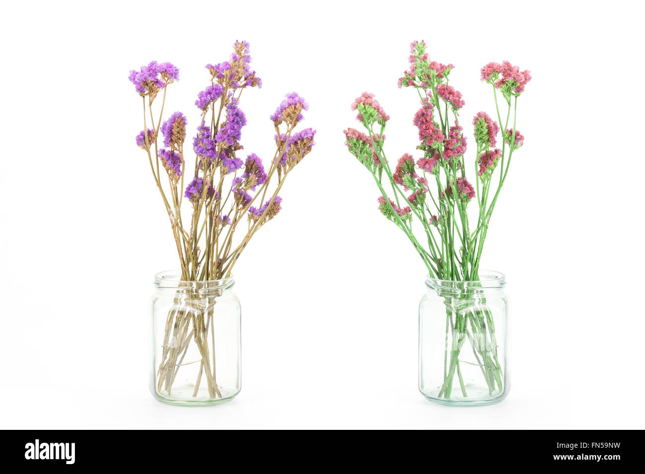 Dried Statice flowers isolated on white background Stock Photo - Alamy