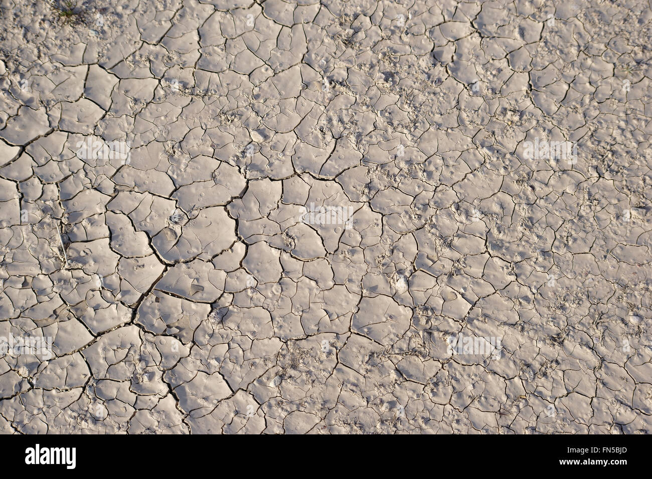 Dryed soil hi-res stock photography and images - Alamy