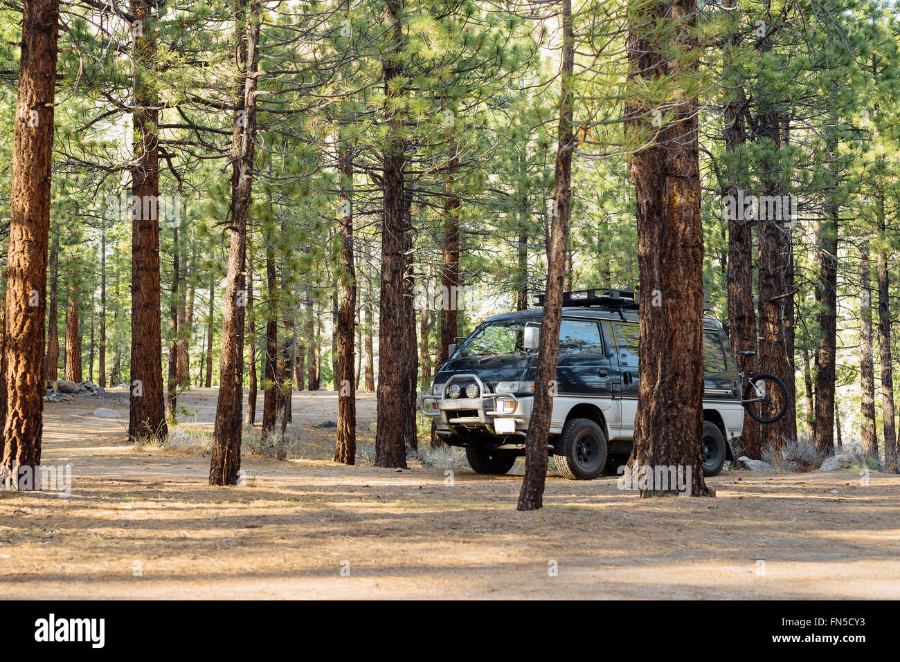 Camping in the Humboldt-Toiyabe National Forest in Eastern California ...