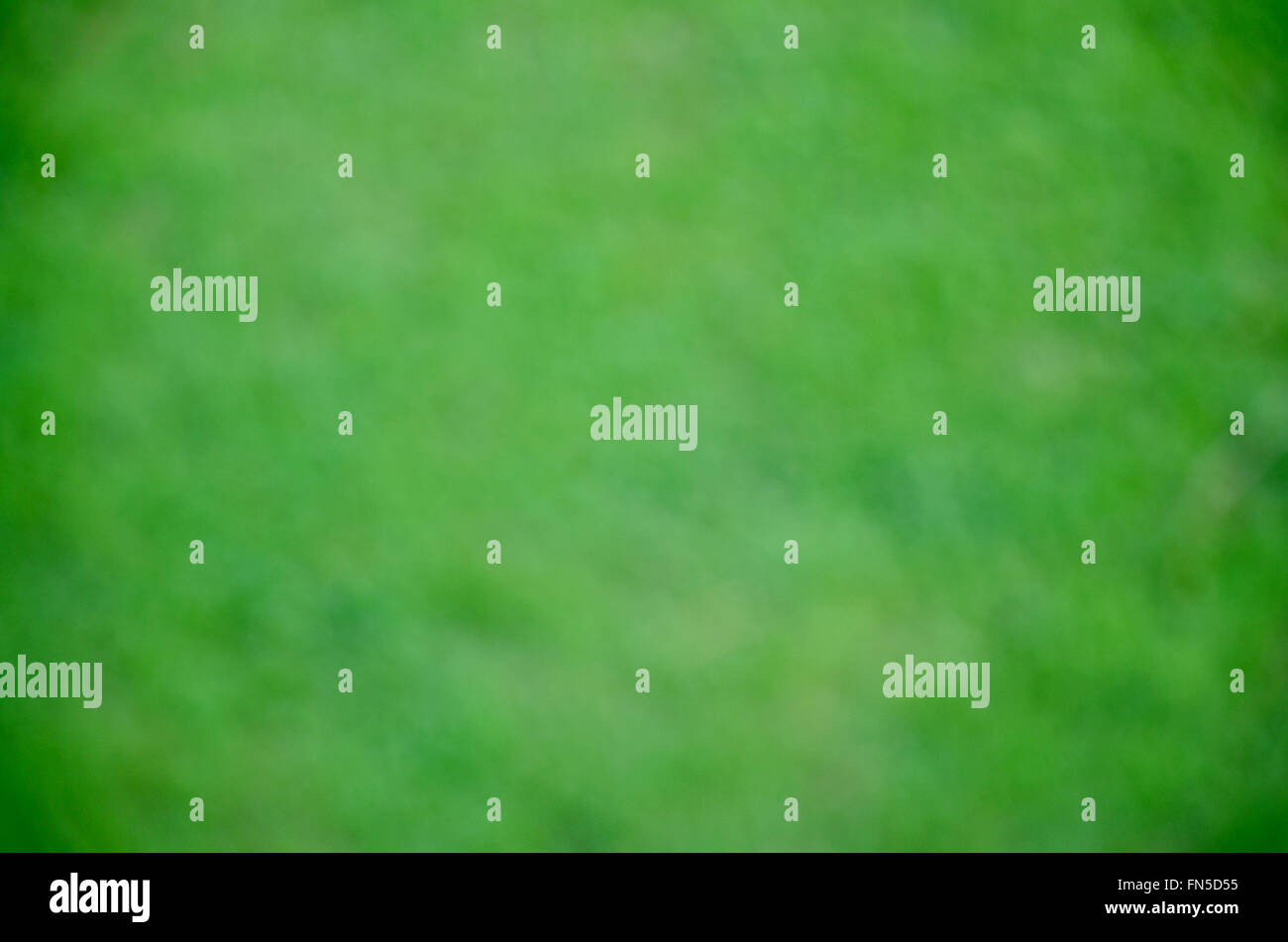 Blurred Grass background on floor in garden Stock Photo - Alamy