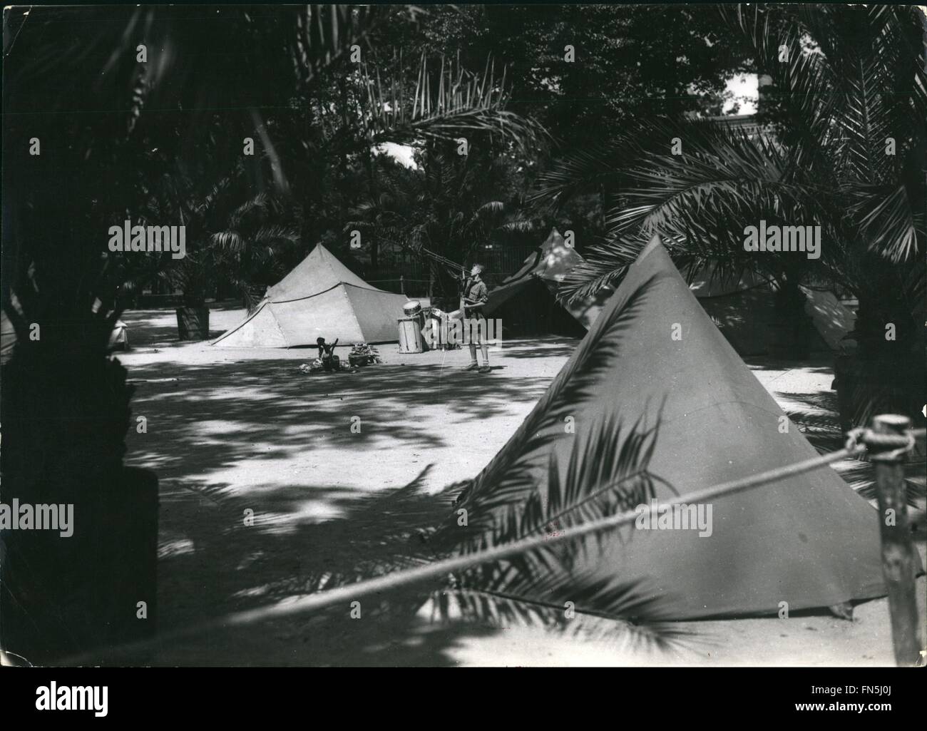 Hitler youth camp hi-res stock photography and images - Alamy