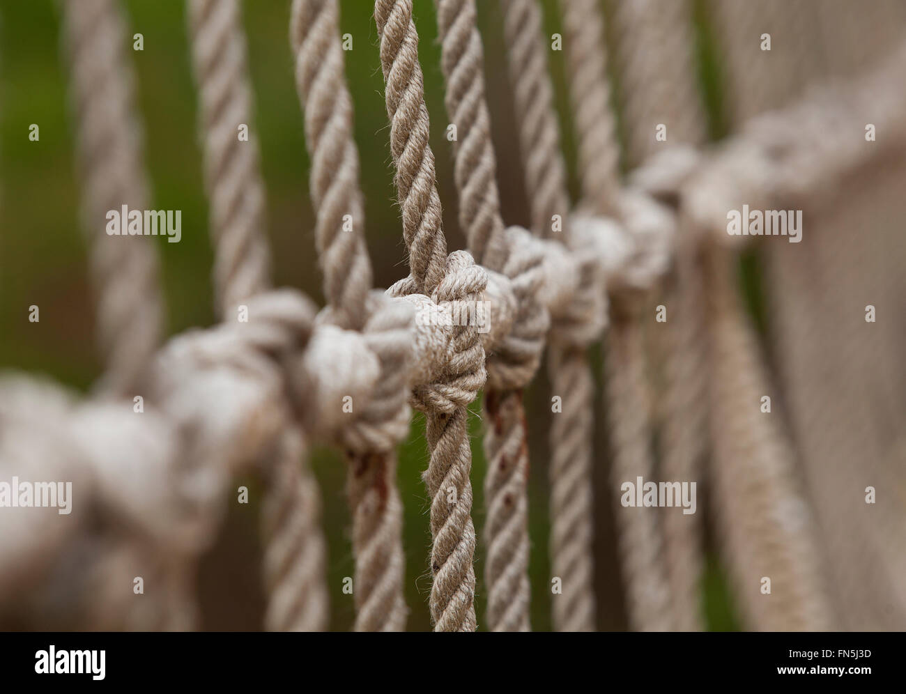 Rope with tied knot of a hanging bridge Stock Photo - Alamy
