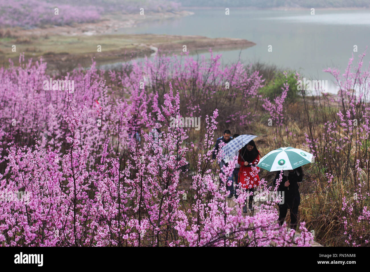 Jiangyong china hi-res stock photography and images - Alamy
