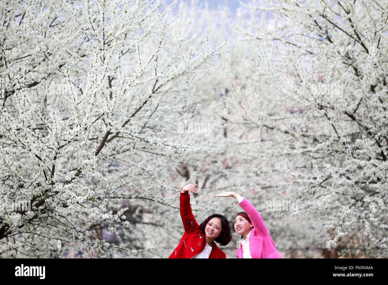 Chongqing. 13th Mar, 2016. People enjoy the scenery at the Qianjiang ...