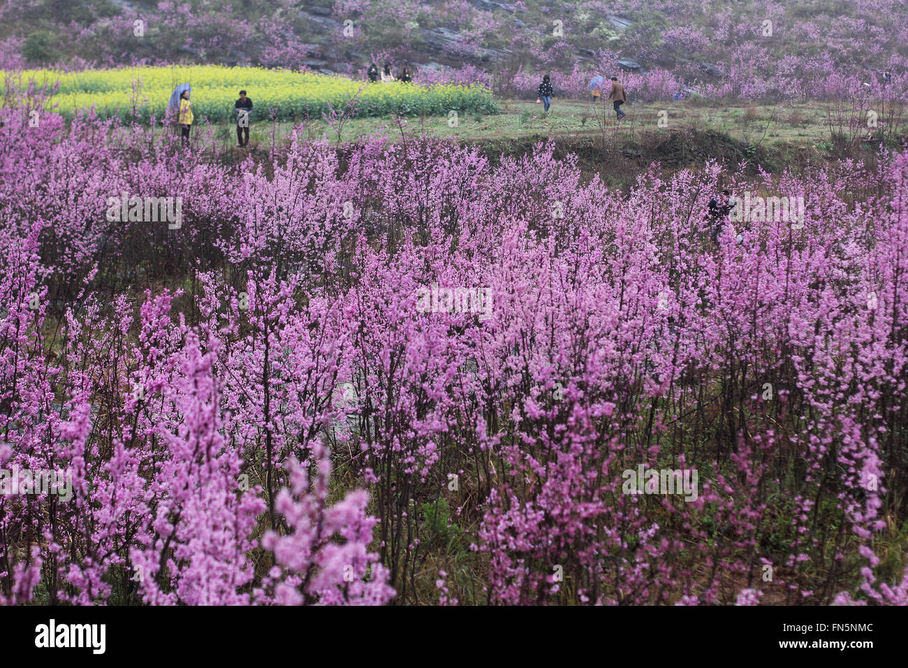 Jiangyong county hunan hi-res stock photography and images - Alamy