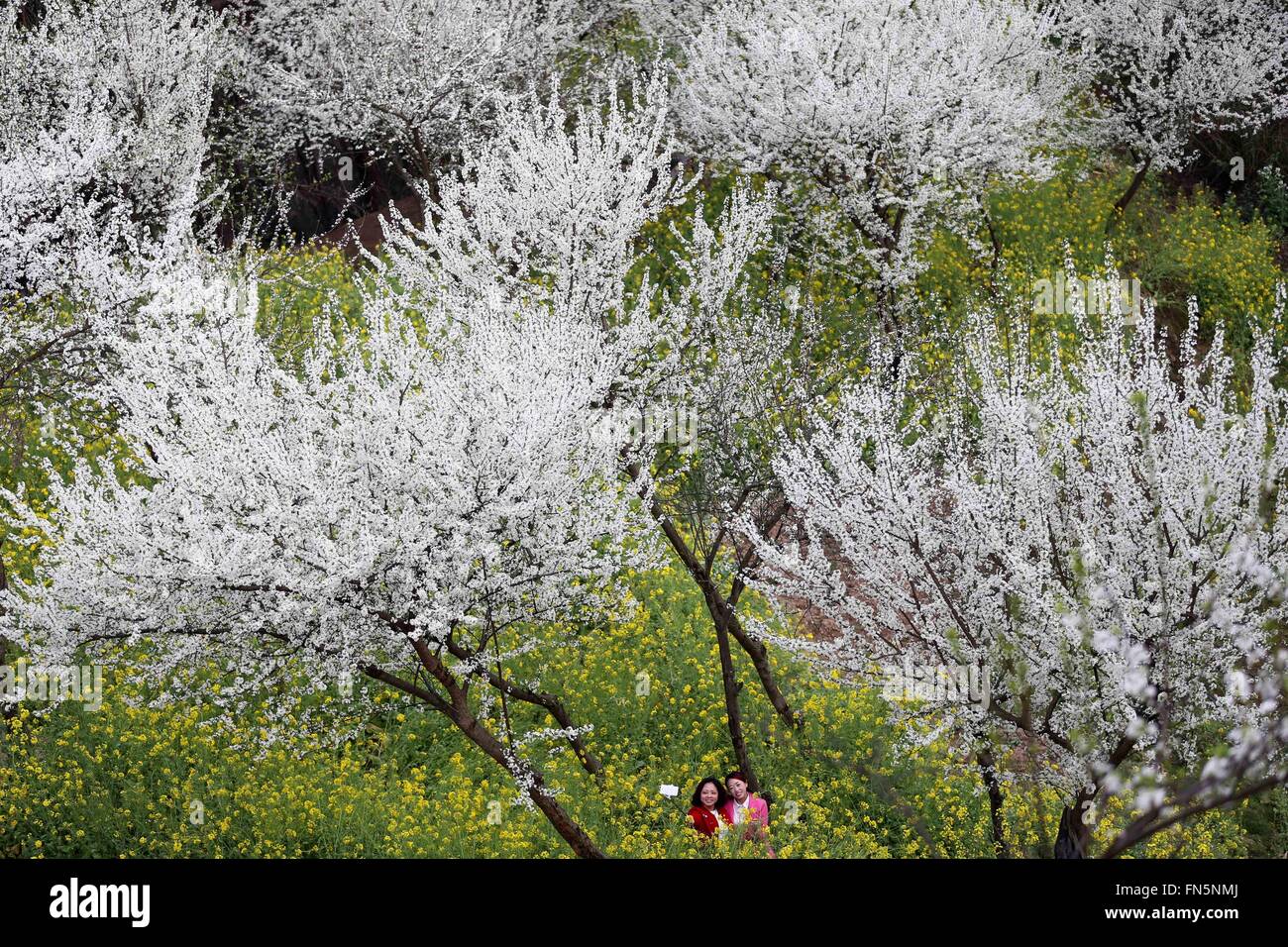 Chongqing. 13th Mar, 2016. People take selfies at the Qianjiang ...