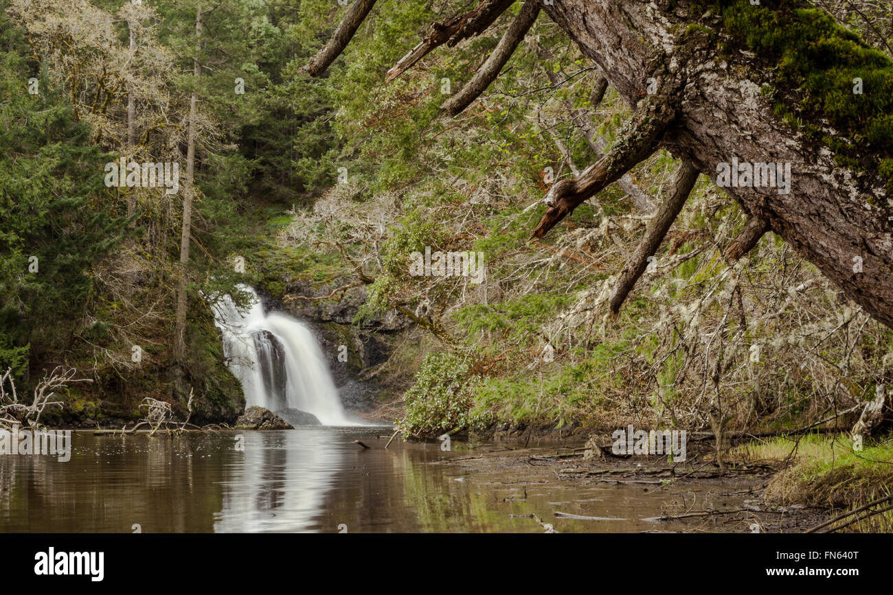 Sitting lady waterfalls hi-res stock photography and images - Alamy