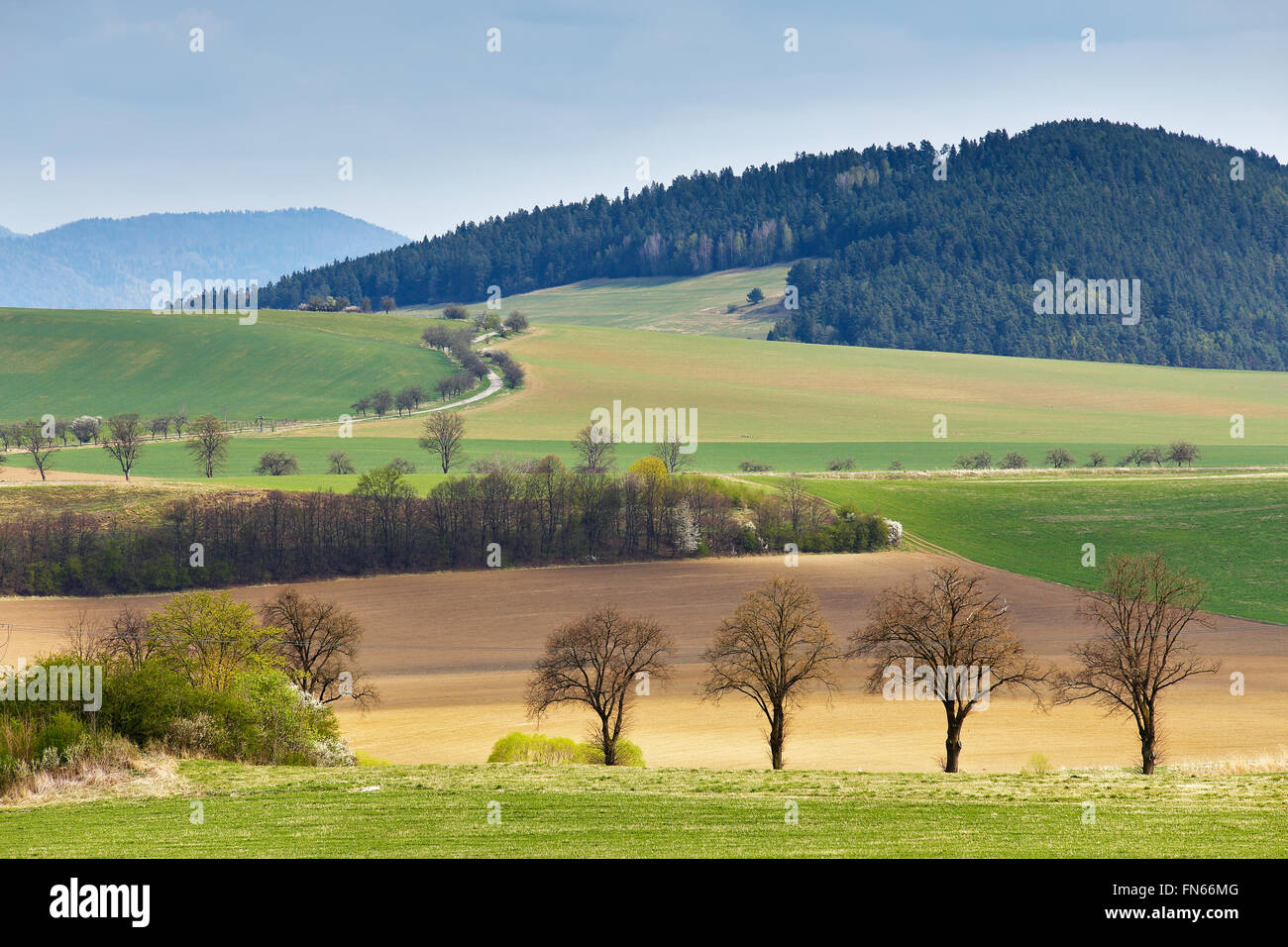 Sunny countryside hi-res stock photography and images - Alamy