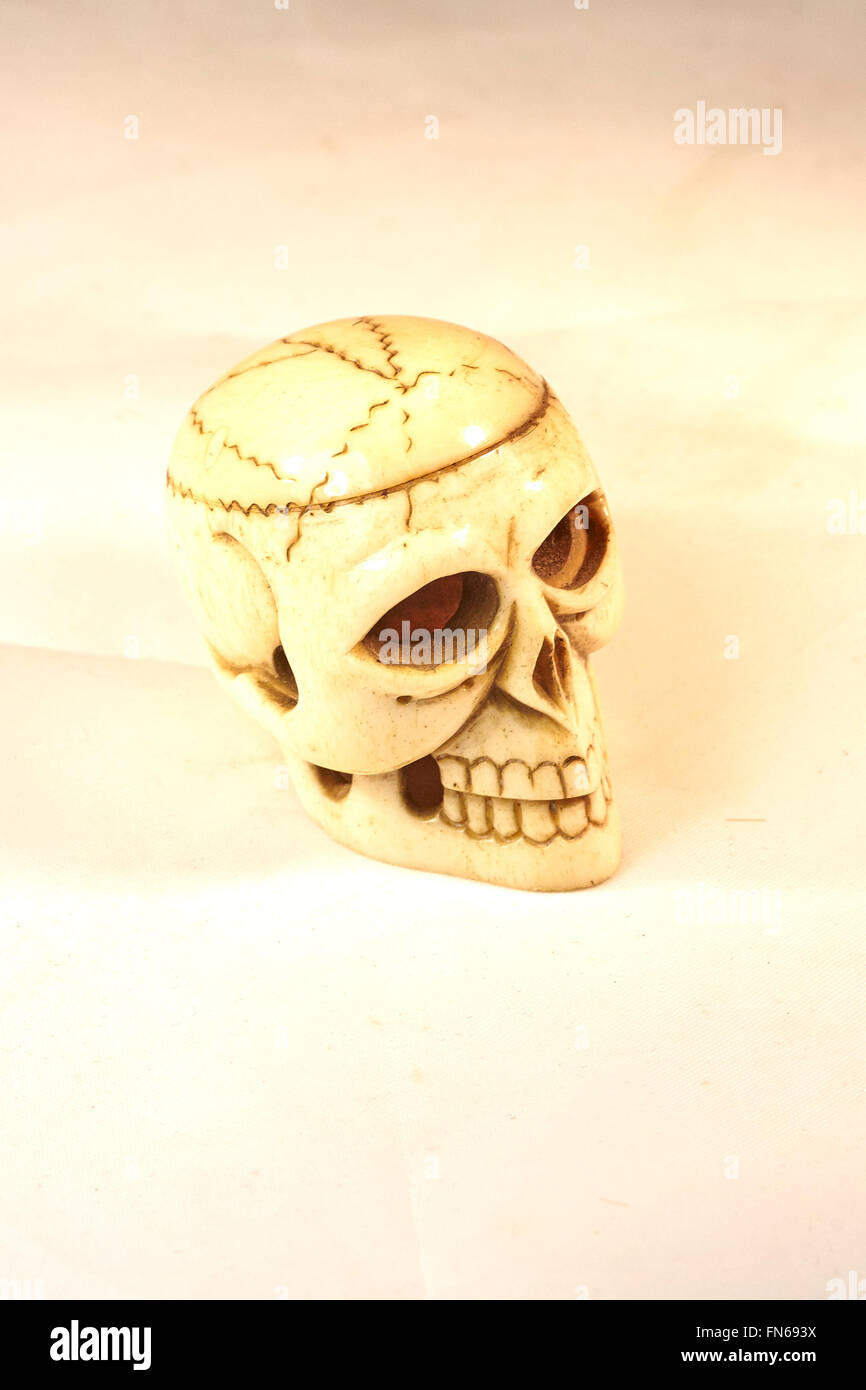 Funny skull hi-res stock photography and images - Alamy