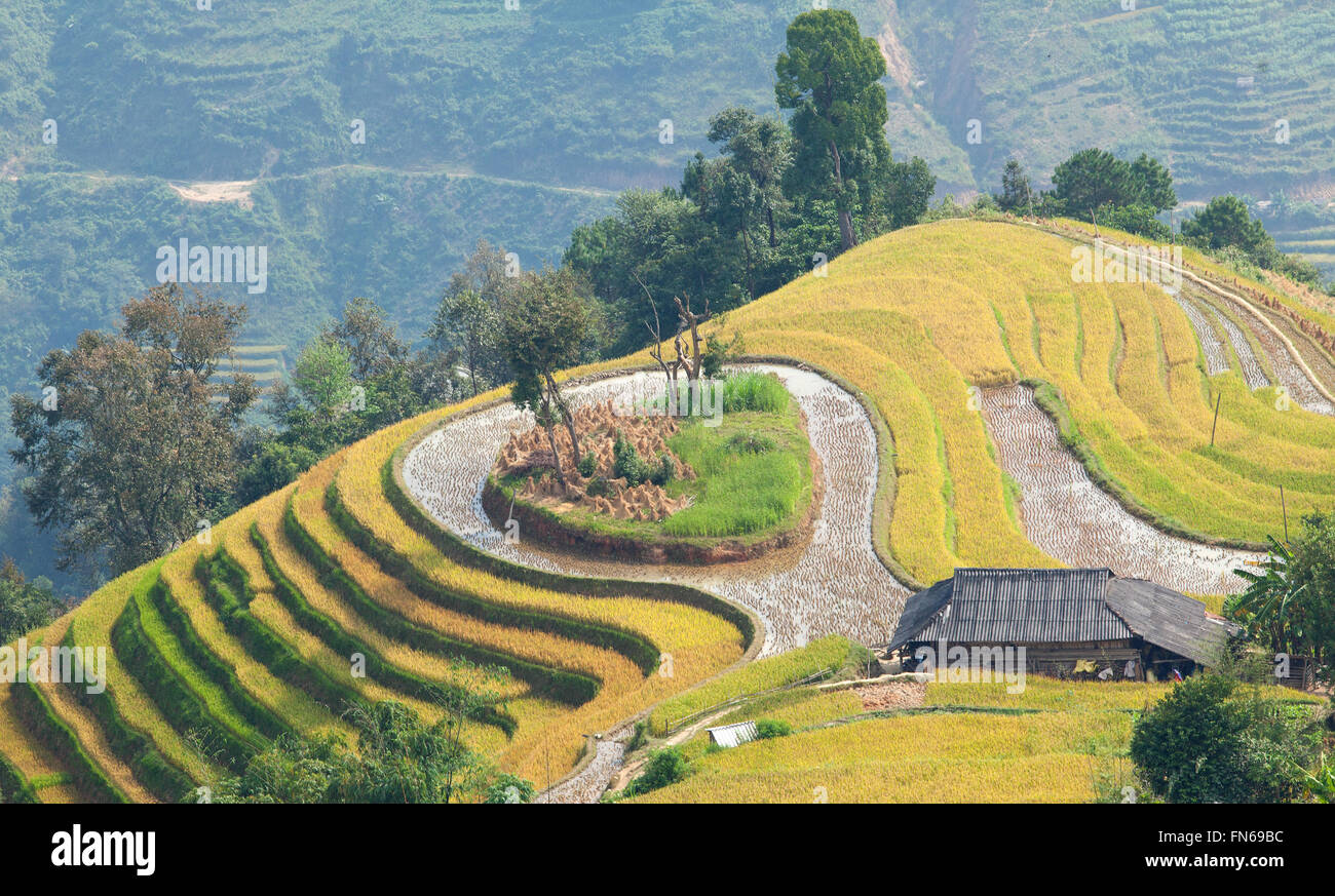 Burma farm hut hi-res stock photography and images - Alamy