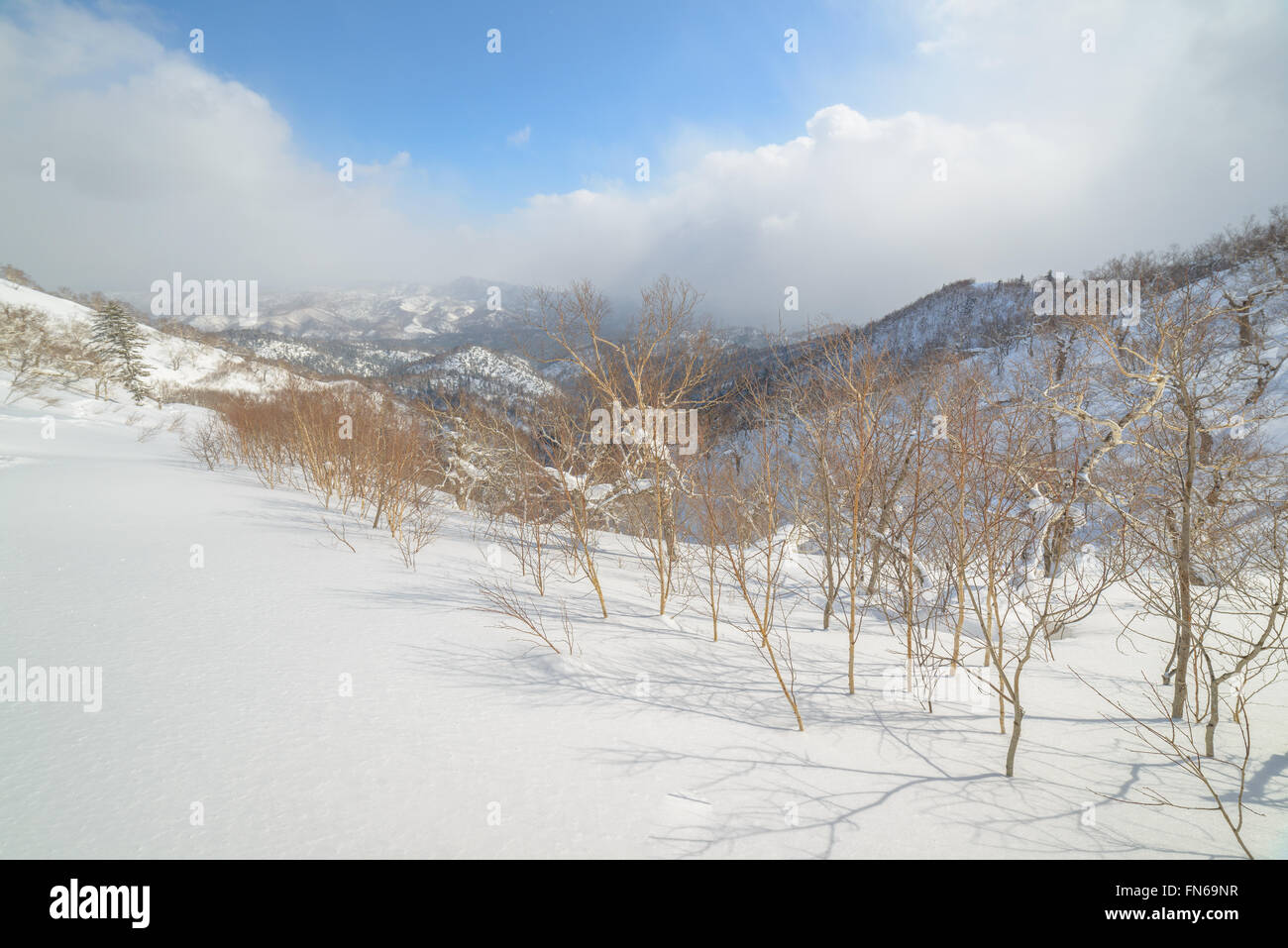 Winter in the mountains, Sakhalin Island, Russia Stock Photo - Alamy