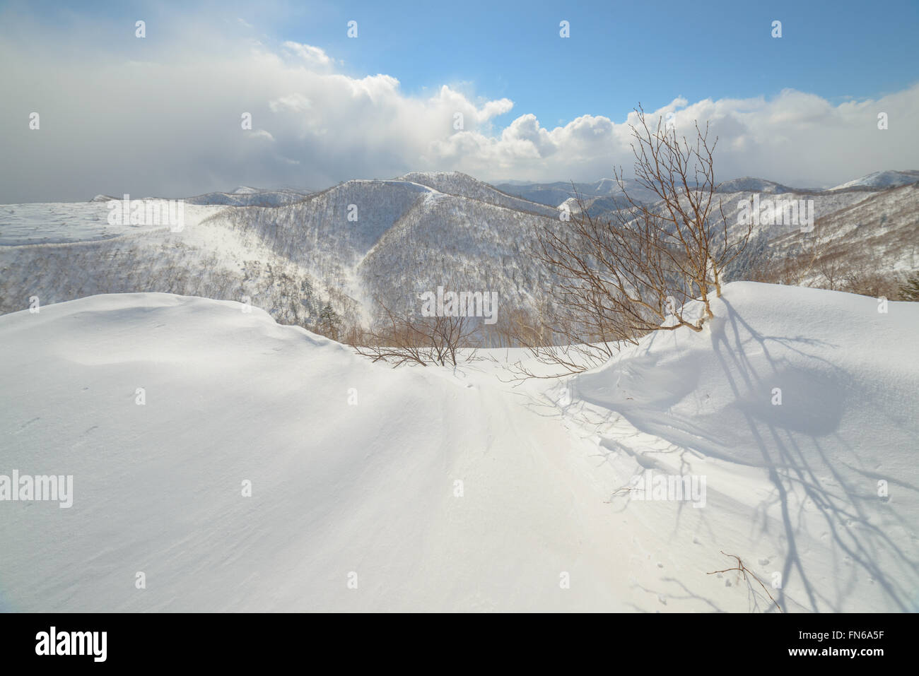 Winter in the mountains, Sakhalin Island, Russia Stock Photo - Alamy