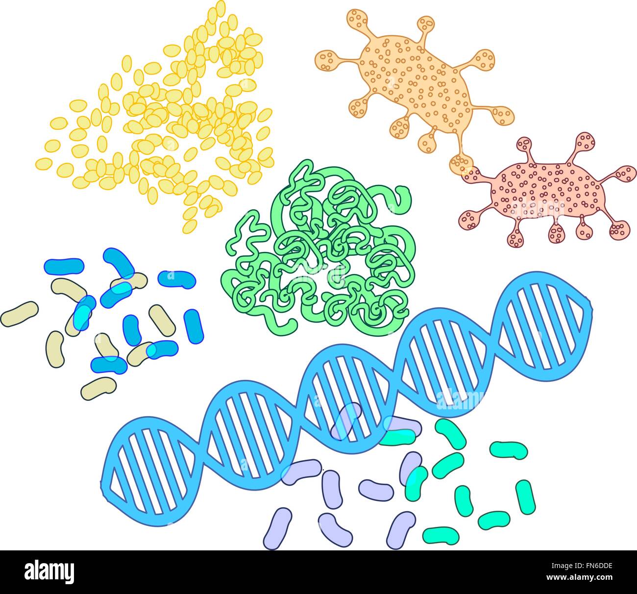 Structure of protein molecules Stock Vector Image & Art - Alamy