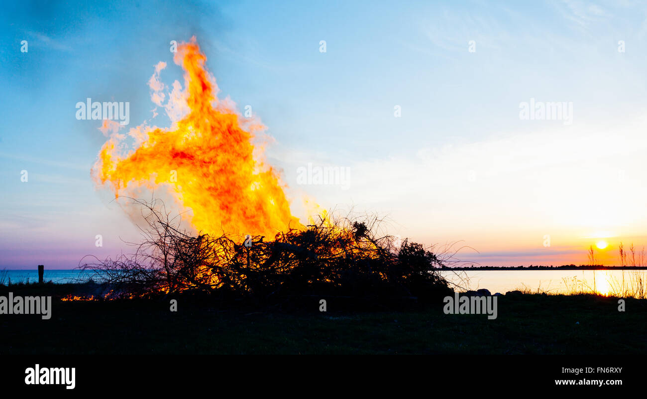 celebrating Walpurgisnight in Sweden bonfire by the sea Stock Photo - Alamy