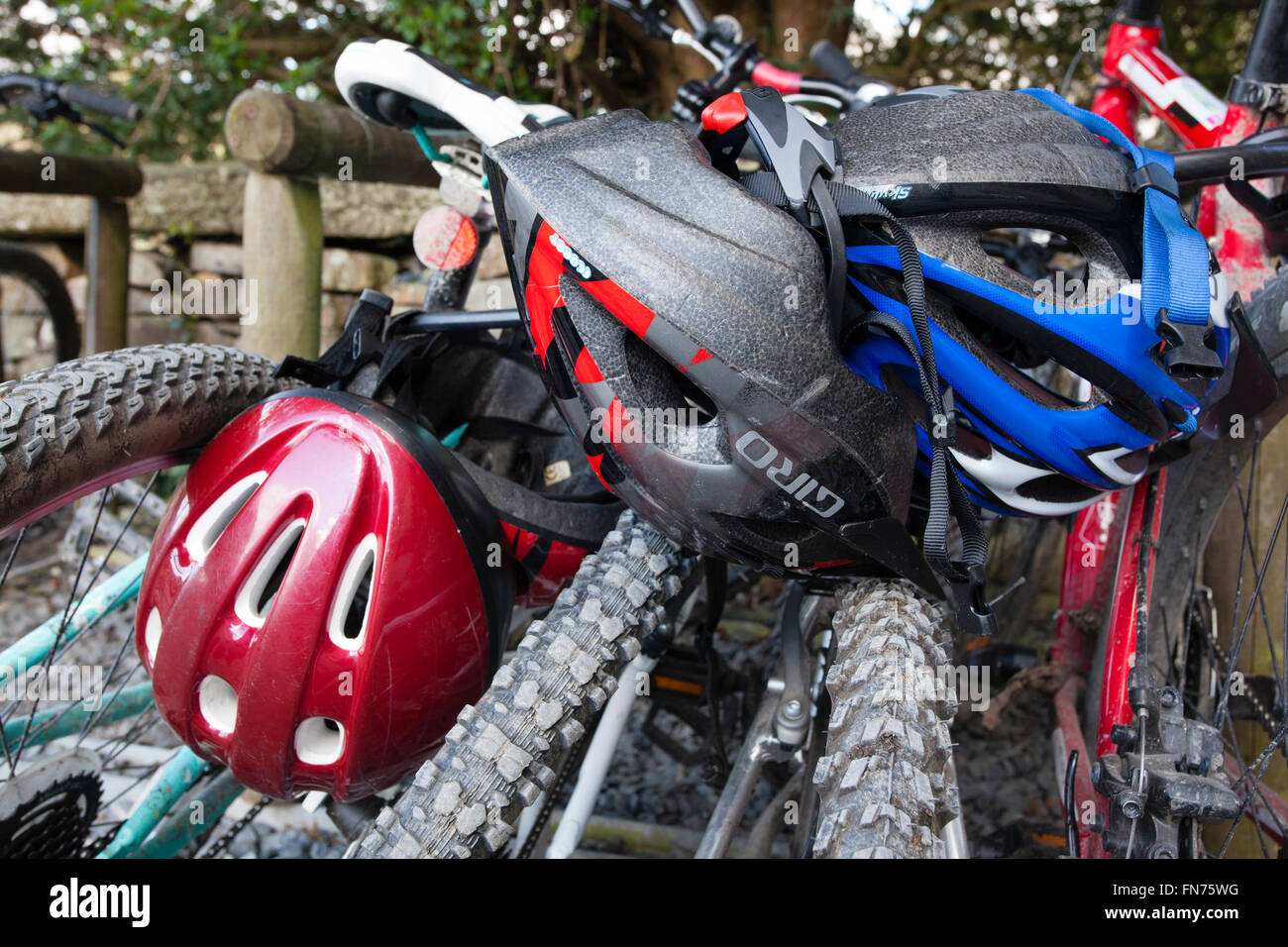 Rachael Oakden and family, husband Gareth, and sons Arthur (orange top ...