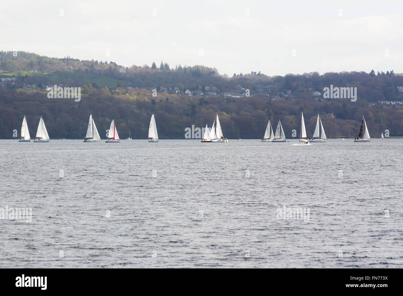 Rachael Oakden and family, husband Gareth, and sons Arthur (orange top ...